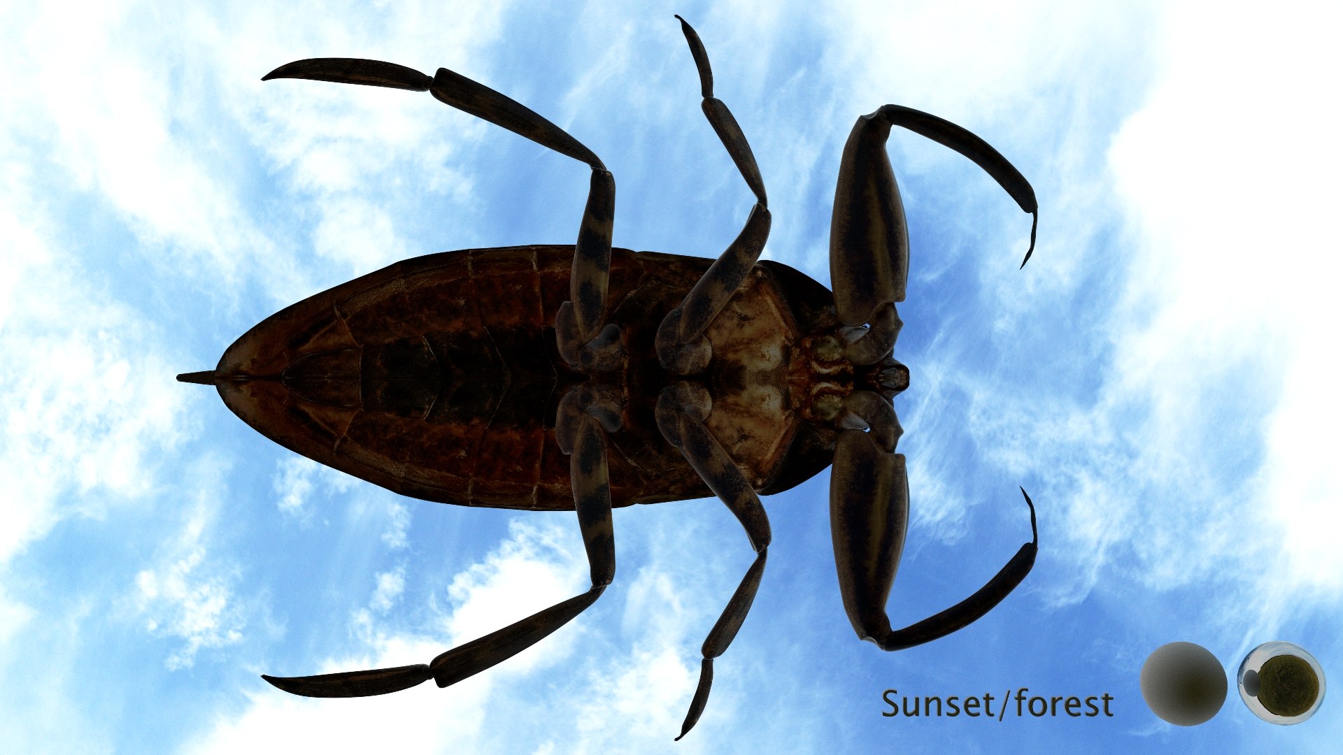 3D Rigged GiantWaterBug Model - TurboSquid 2013314