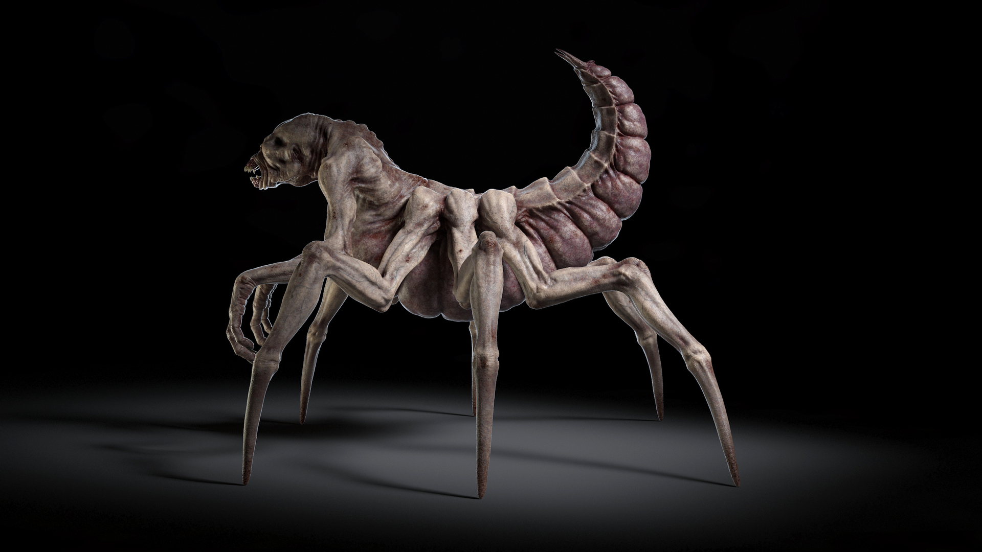 Monster rig v1 3D model - TurboSquid 1613697