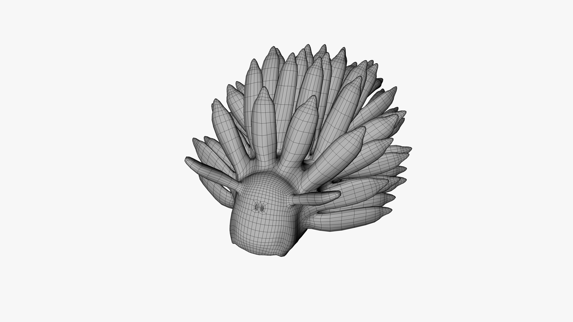 3D Leaf Sheep - Costasiella Kuroshimae Model - TurboSquid 1858799