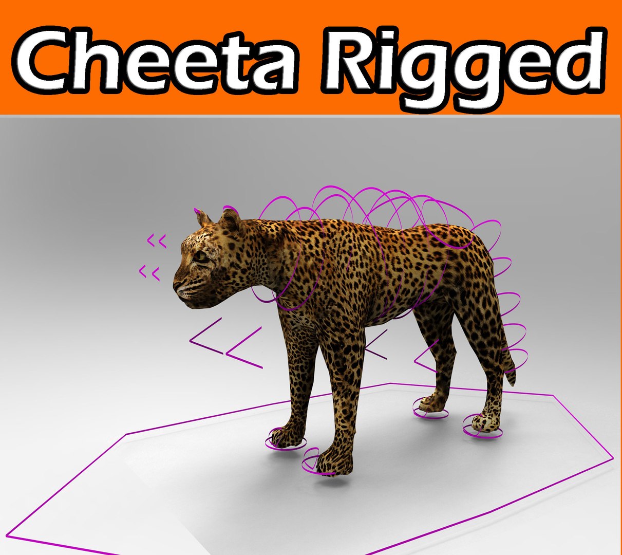 Cheetah Rigged Obj