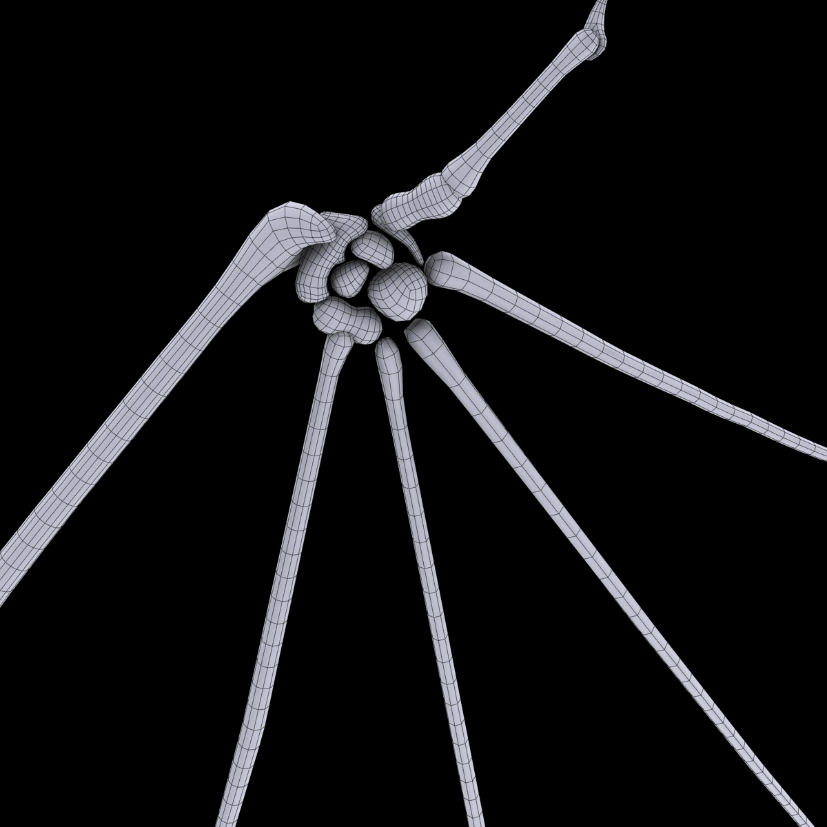 Bat skeleton bone 3D model - TurboSquid 1300280