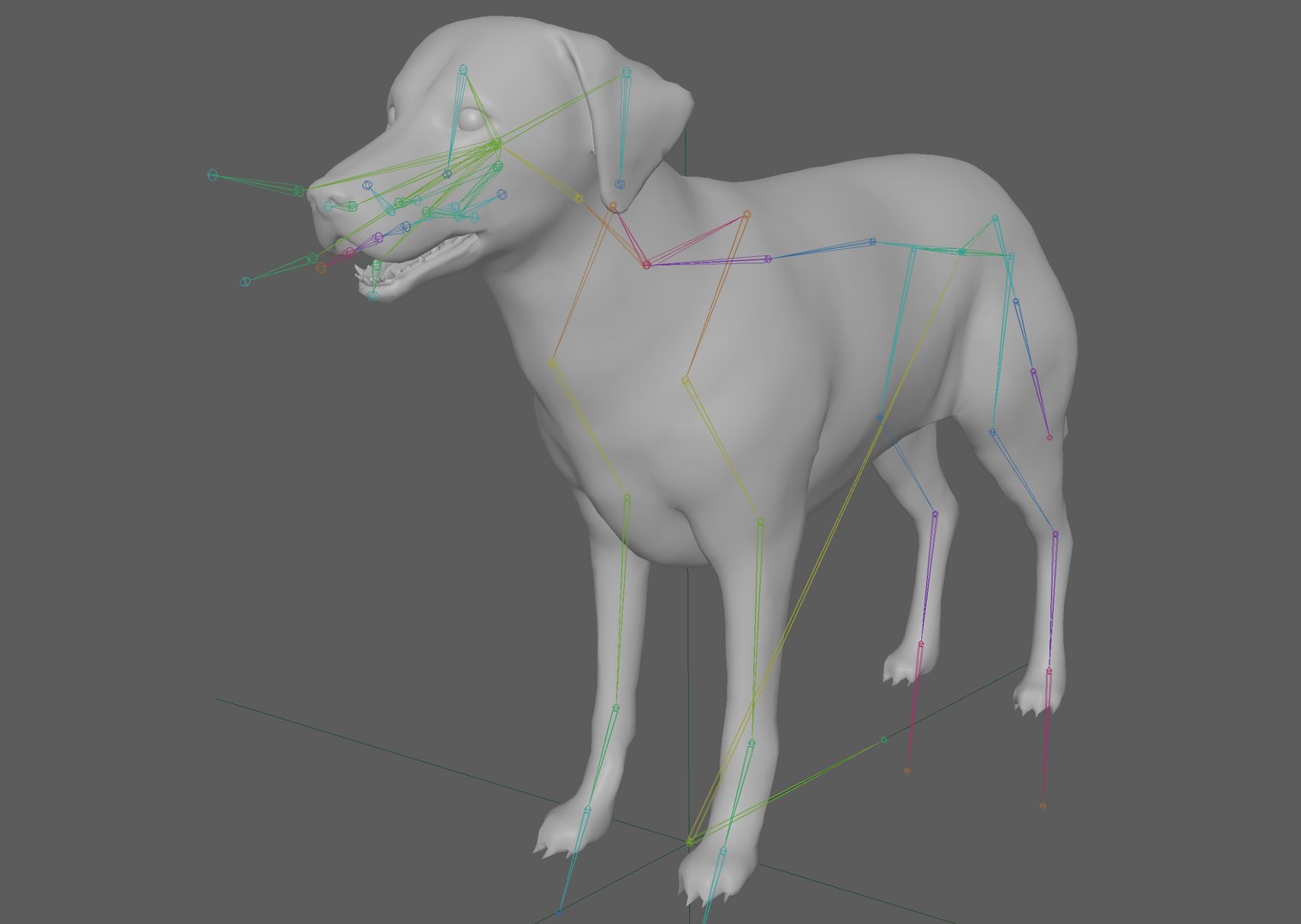 3D Labrador Retriever - Dog Rig Model - TurboSquid 1904655