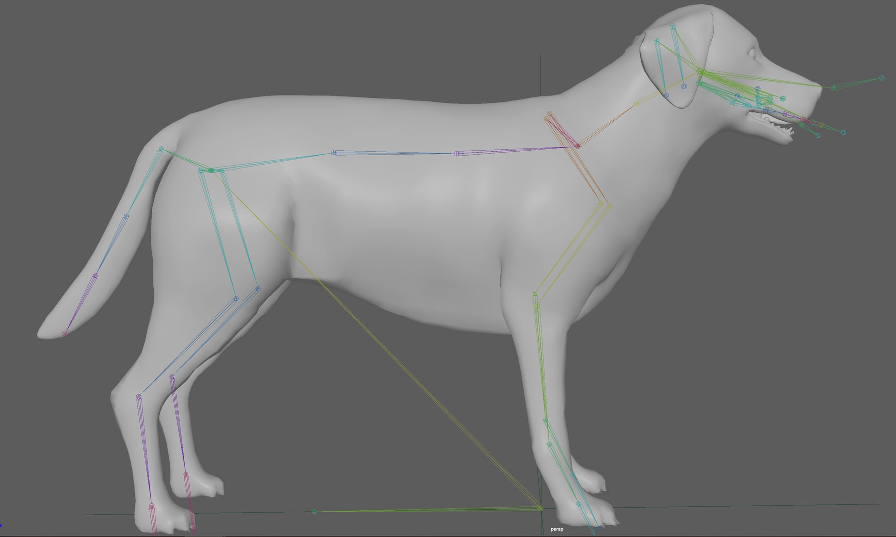 3D Labrador Retriever - Dog Rig Model - TurboSquid 1904655