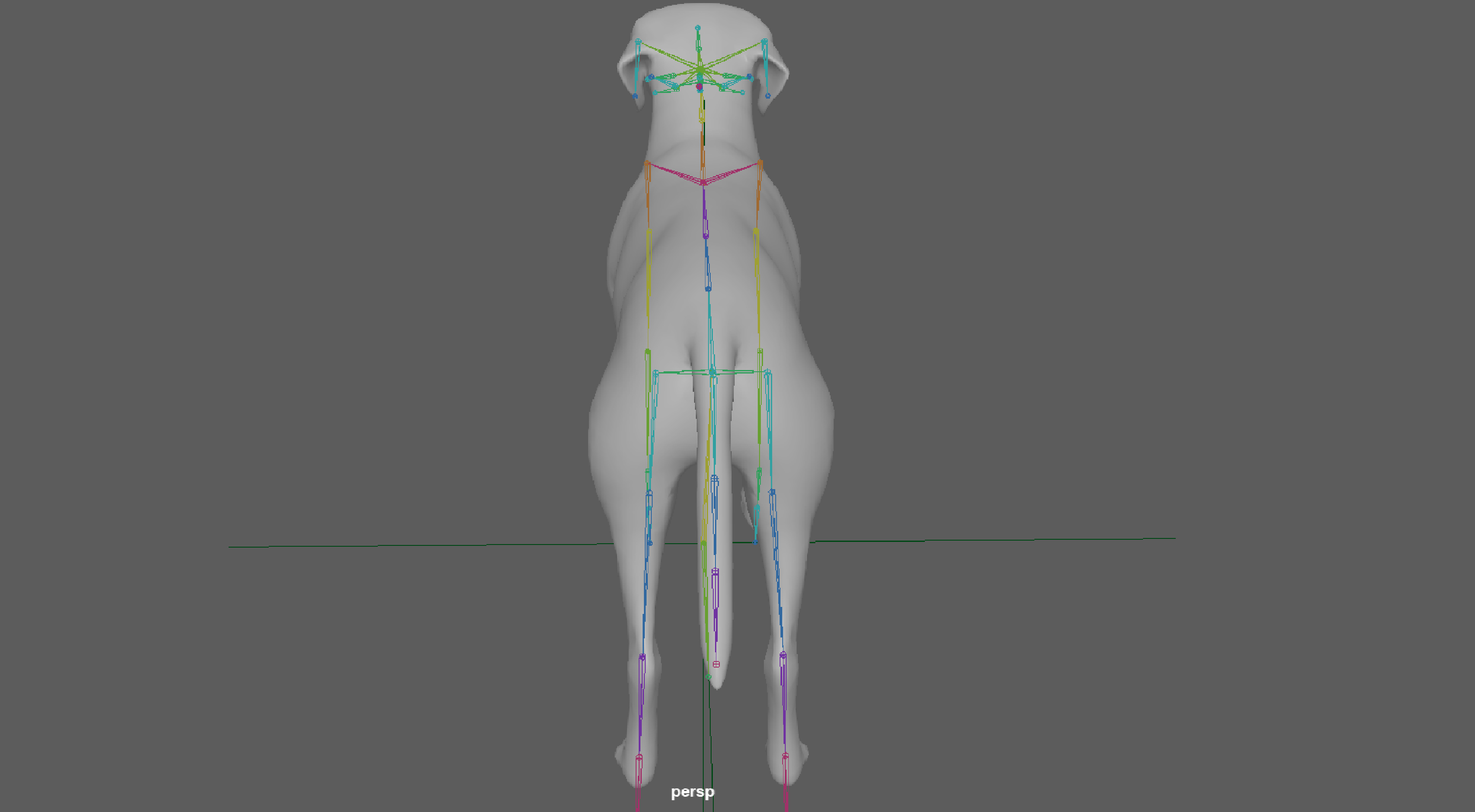 3D Labrador Retriever - Dog Rig model - TurboSquid 1904655