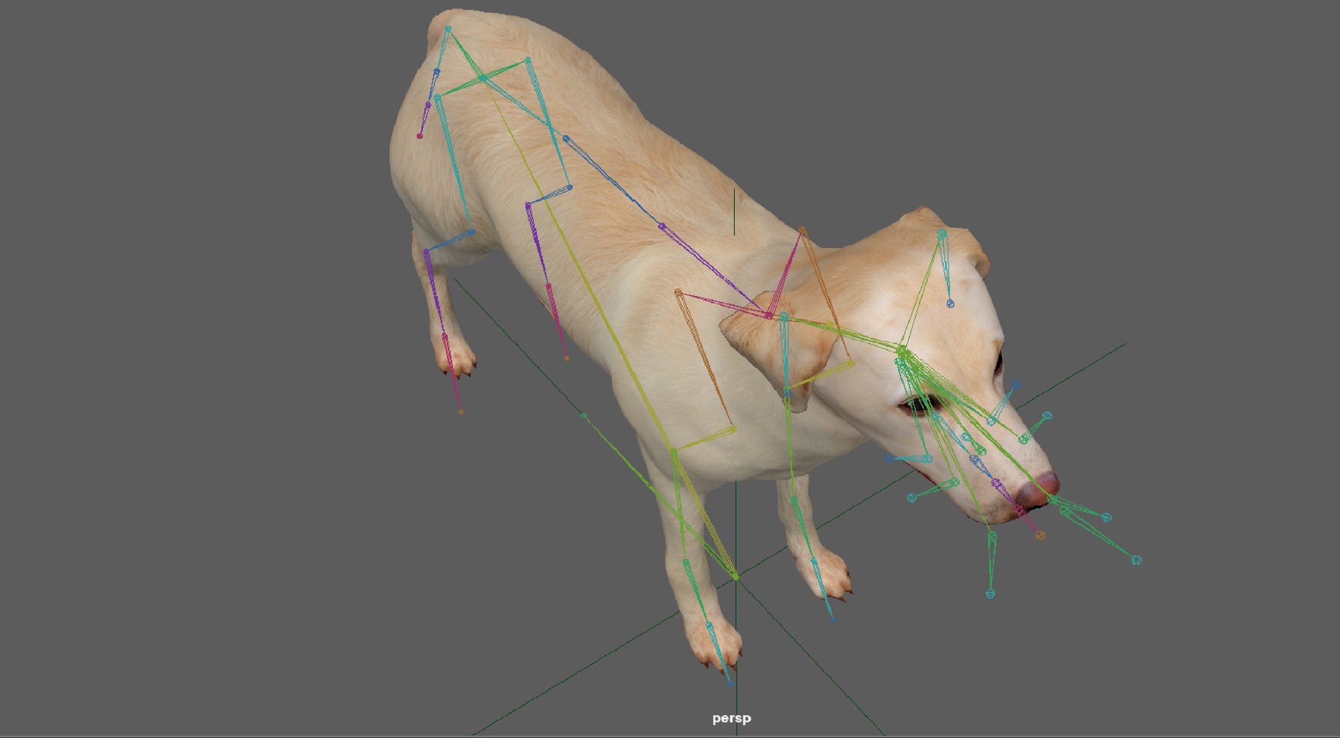 3D Labrador Retriever - Dog Rig Model - TurboSquid 1904655