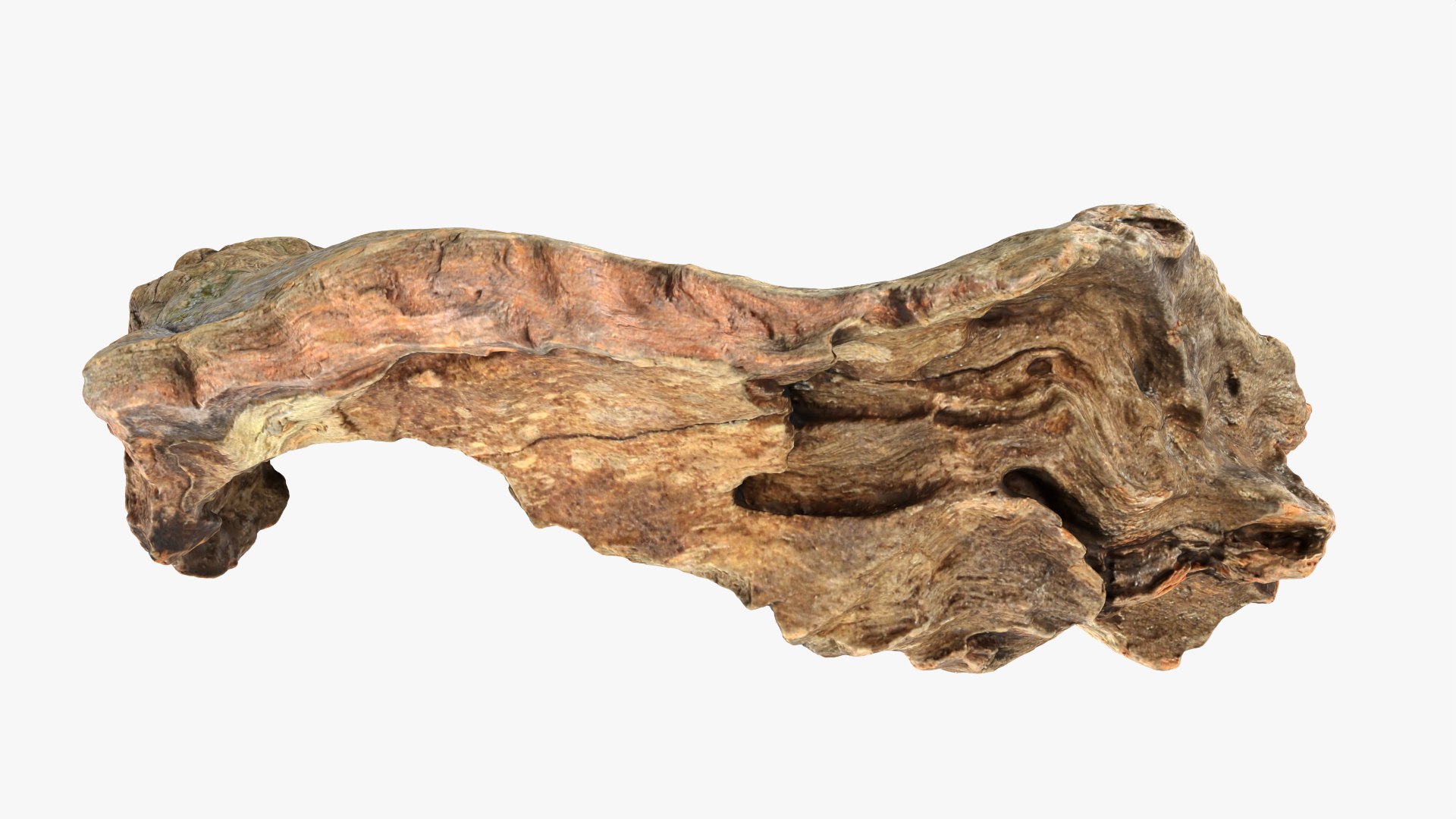 3D Tree Trunk Piece 12 - TurboSquid 2509122