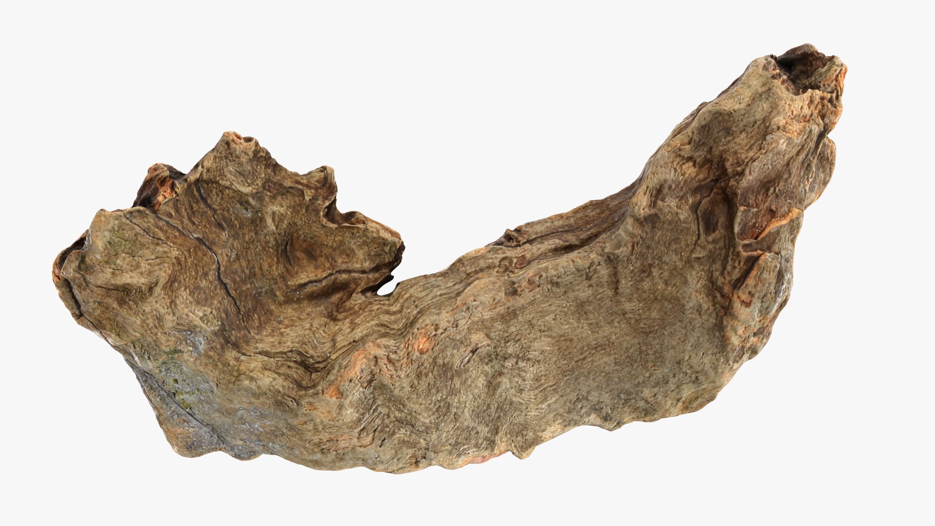 3D Tree Trunk Piece 12 - TurboSquid 2509122