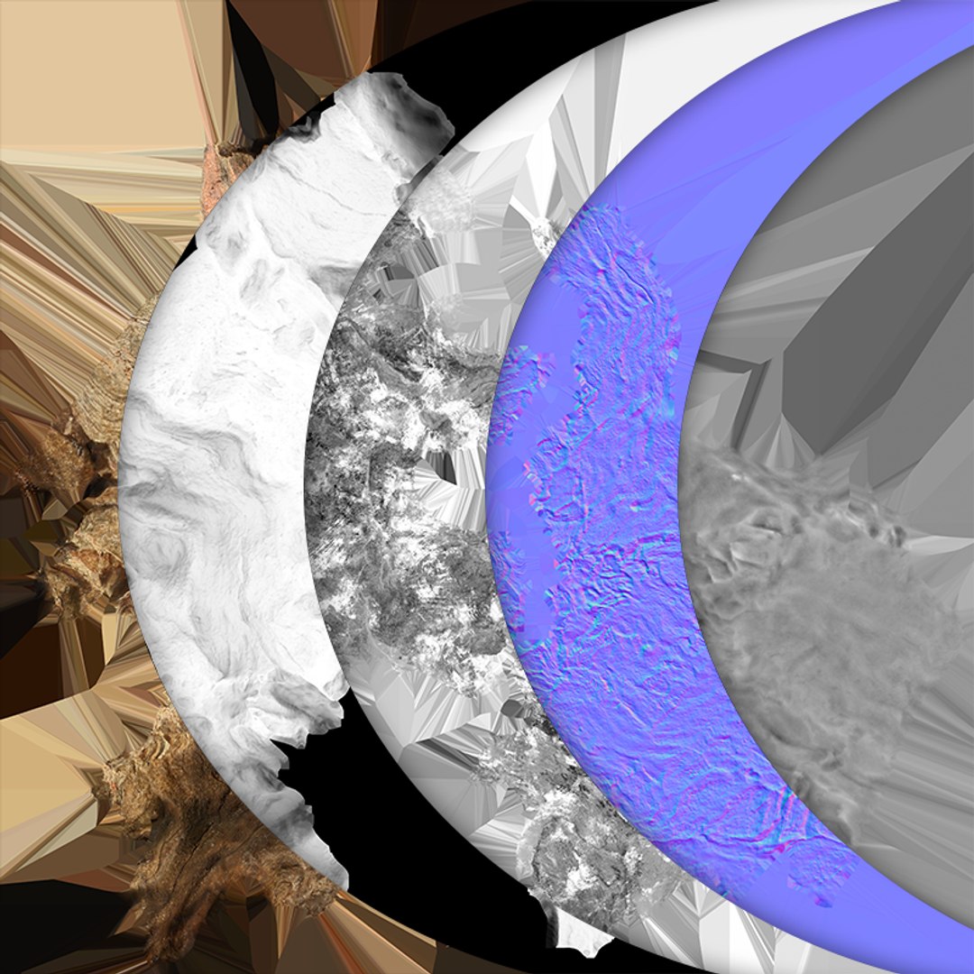 3D Tree Trunk Piece 12 - TurboSquid 2509122