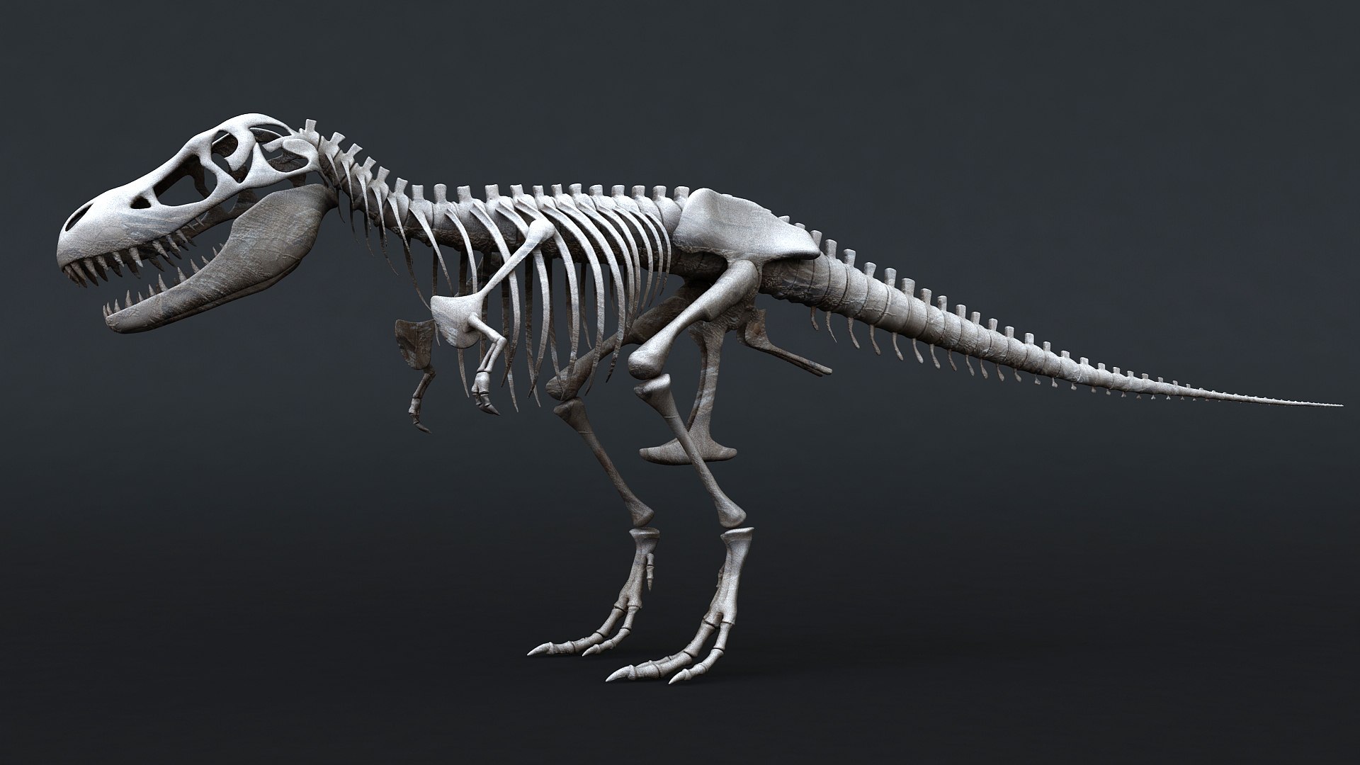 3ds Rigged Tyrannosaurus Rex Skeleton