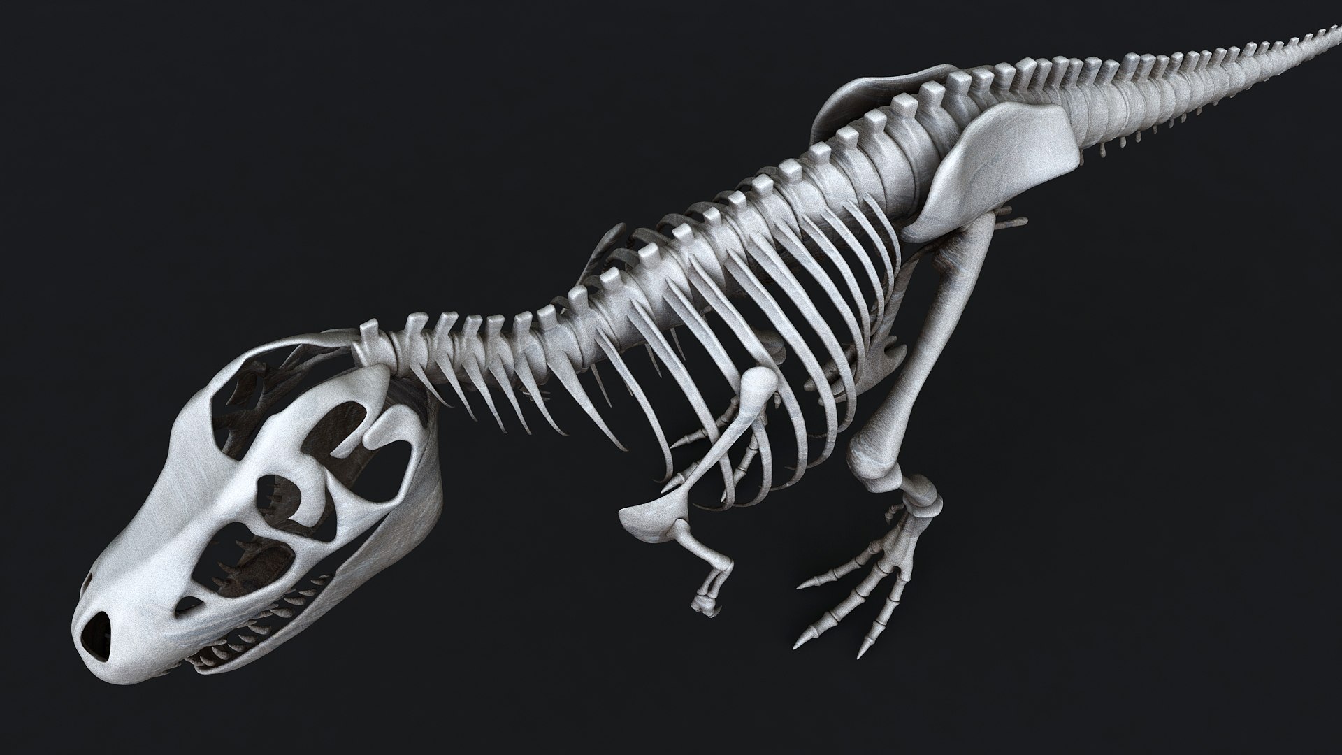 3ds Rigged Tyrannosaurus Rex Skeleton