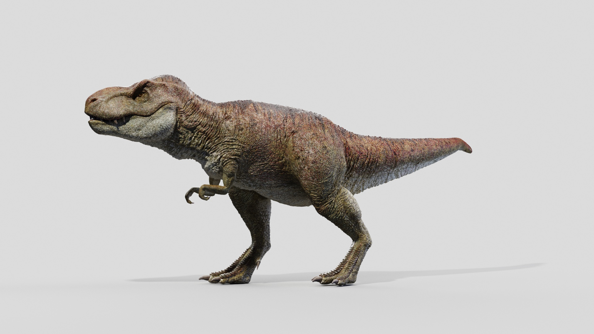 Tyrannosaurus Rex Animated 3D - TurboSquid 2151997