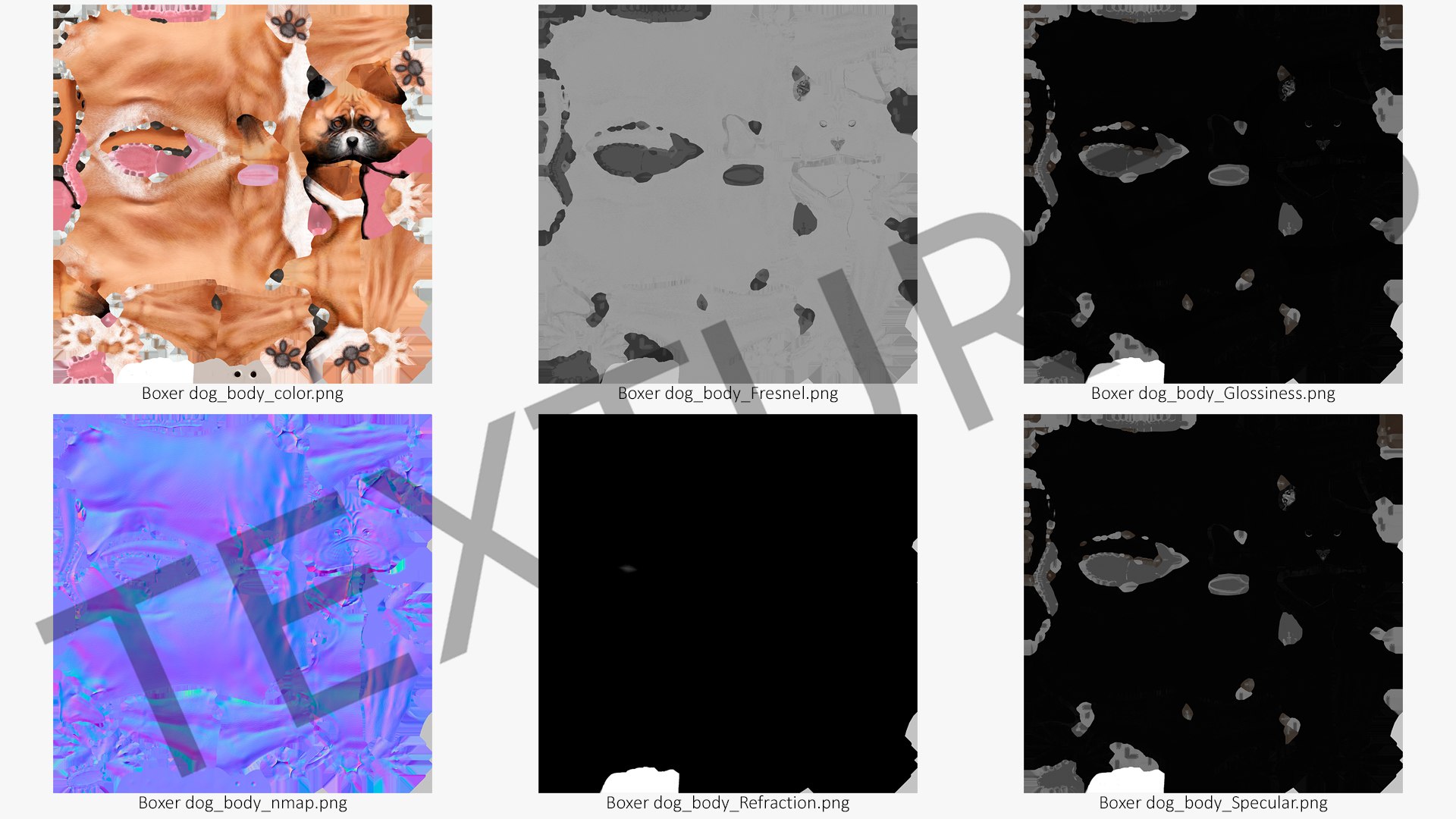 3D Model Boxer Dog - TurboSquid 2250304