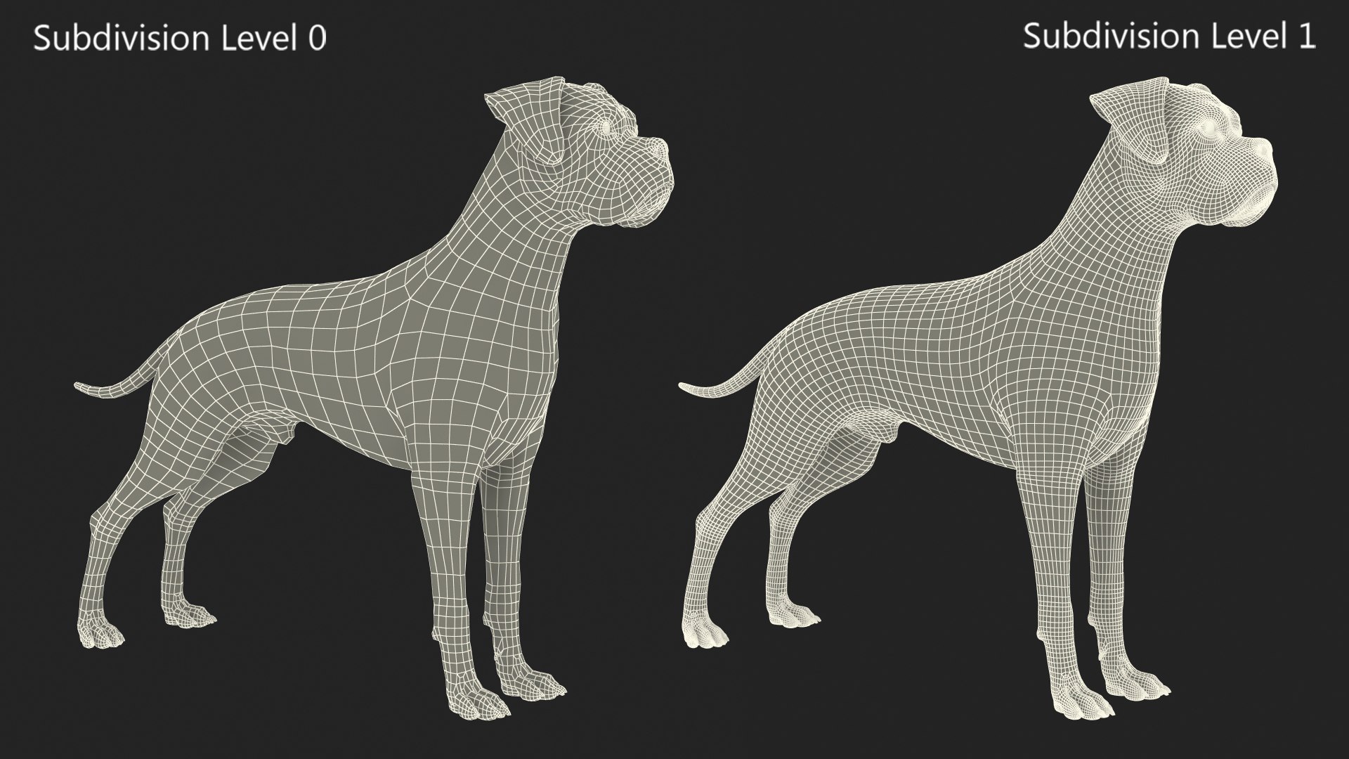 3D Model Boxer Dog - TurboSquid 2250304