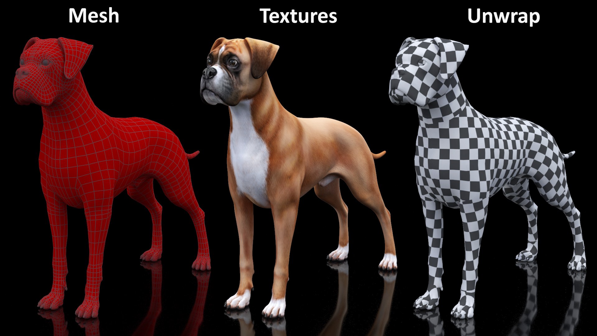3D Model Boxer Dog - TurboSquid 2250304