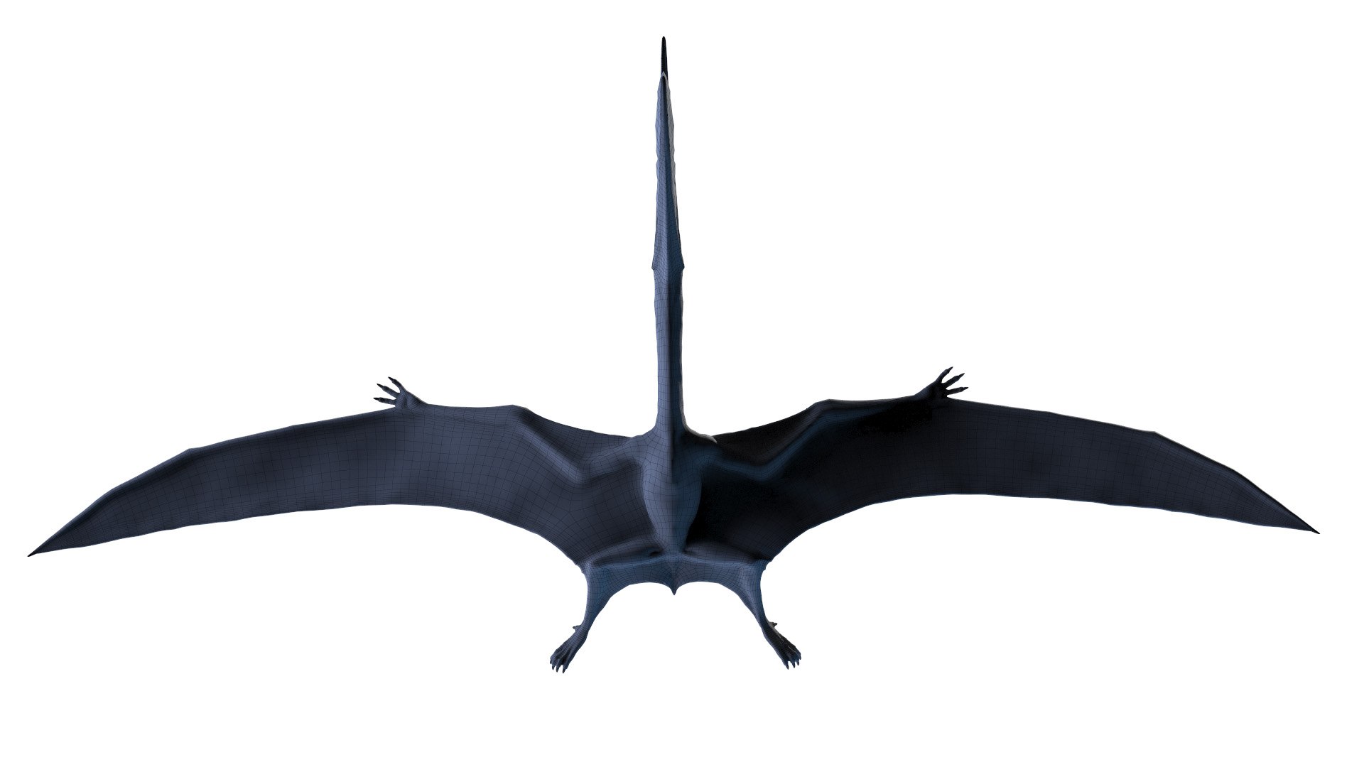 3D Pterodaustro Static Model - TurboSquid 1903372