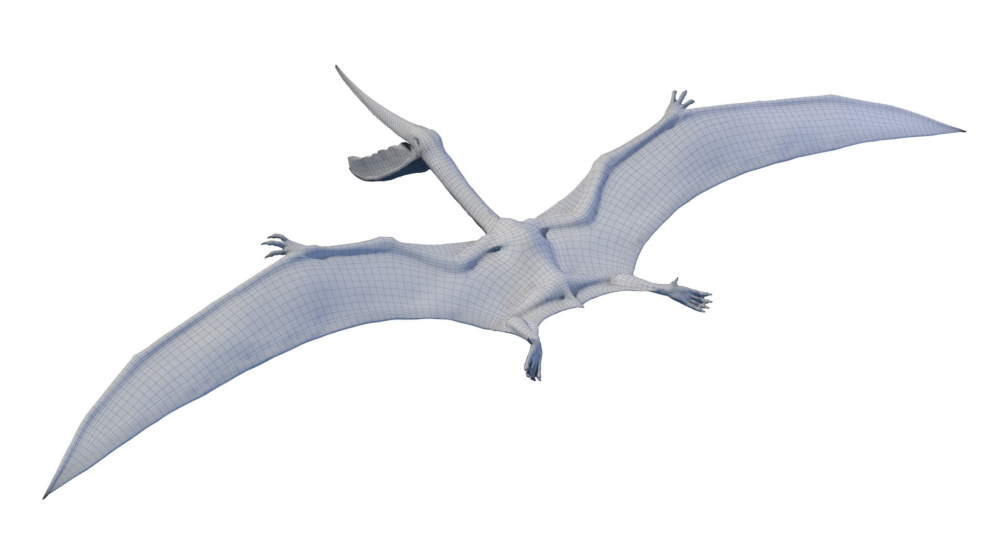 3D Pterodaustro Static Model - TurboSquid 1903372