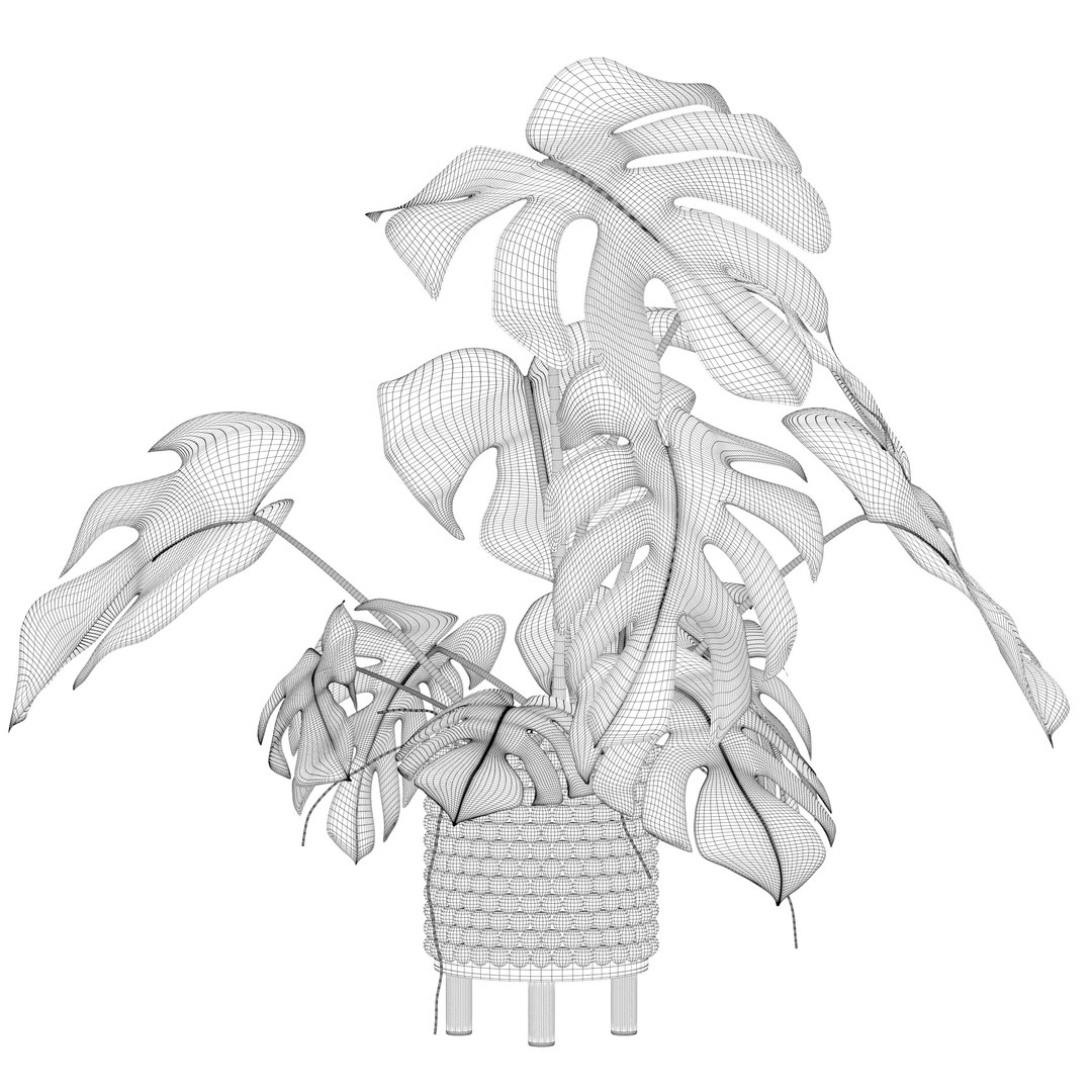 3D Monstera in wooden pot model - TurboSquid 1878476