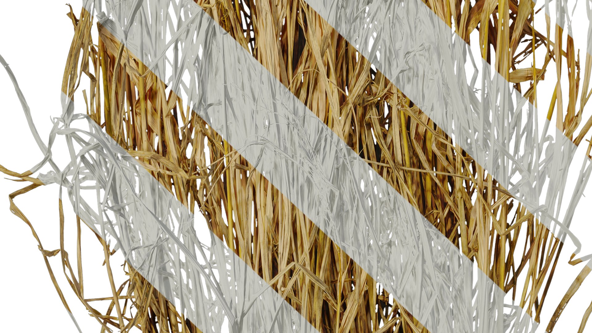 Anydrafts Oryza Sativa Atlas 08 Textures 3D Model - TurboSquid 2349844