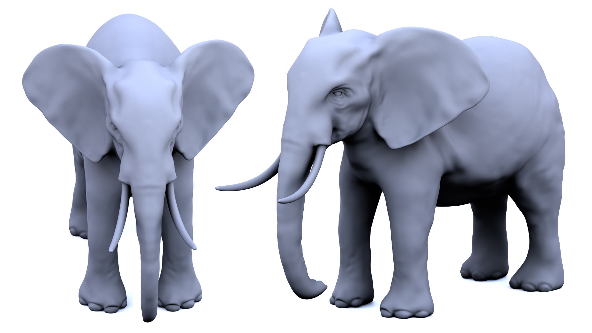 3D Elephant 3D Model - TurboSquid 2236597