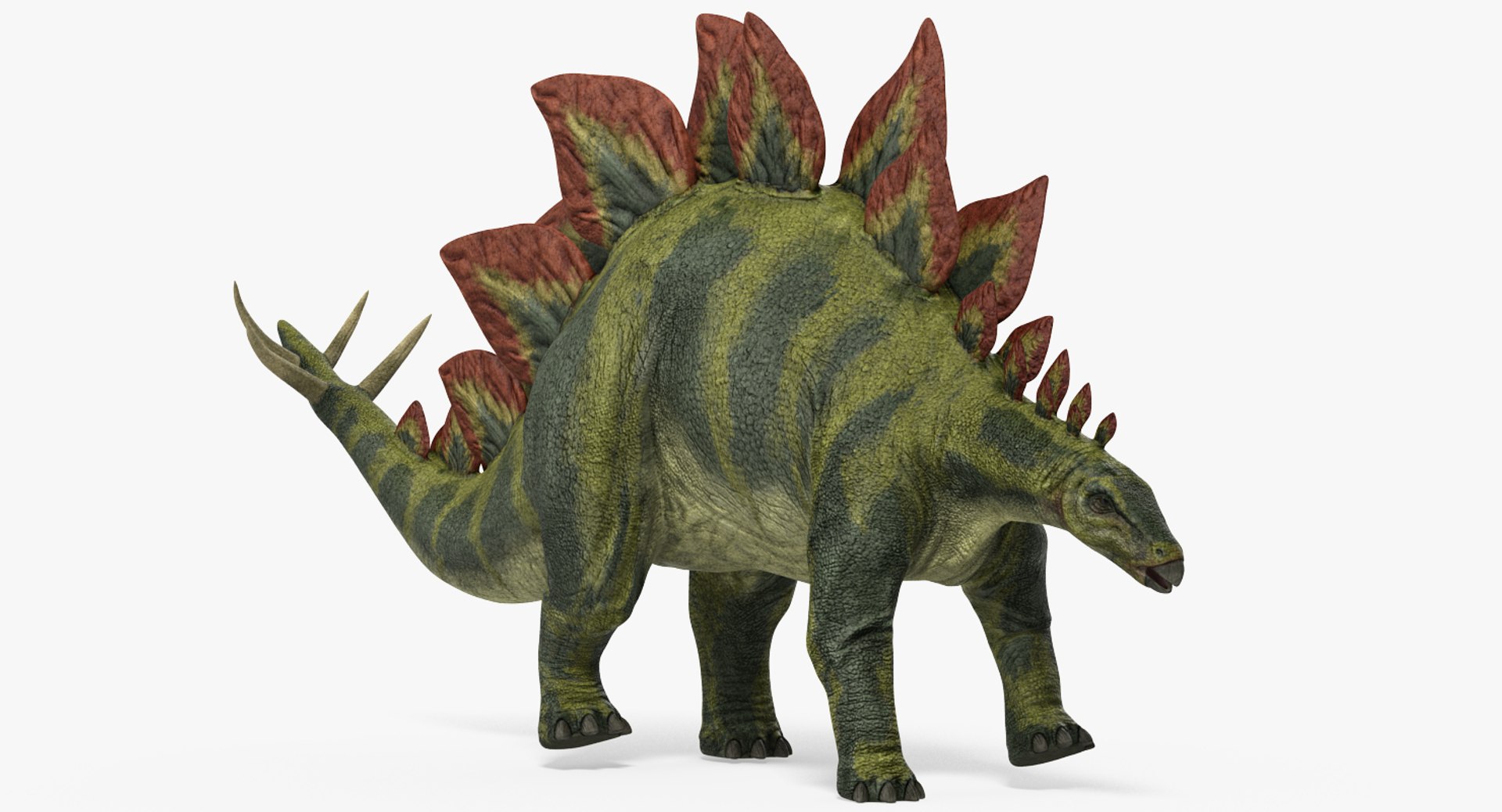 Stegosaurus Rigged 3d Model