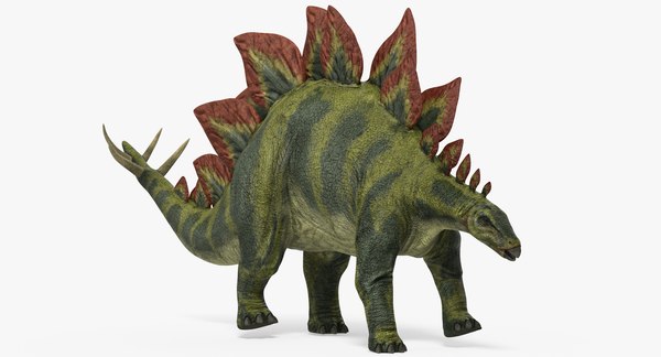 stegosaurus rigged 3d model