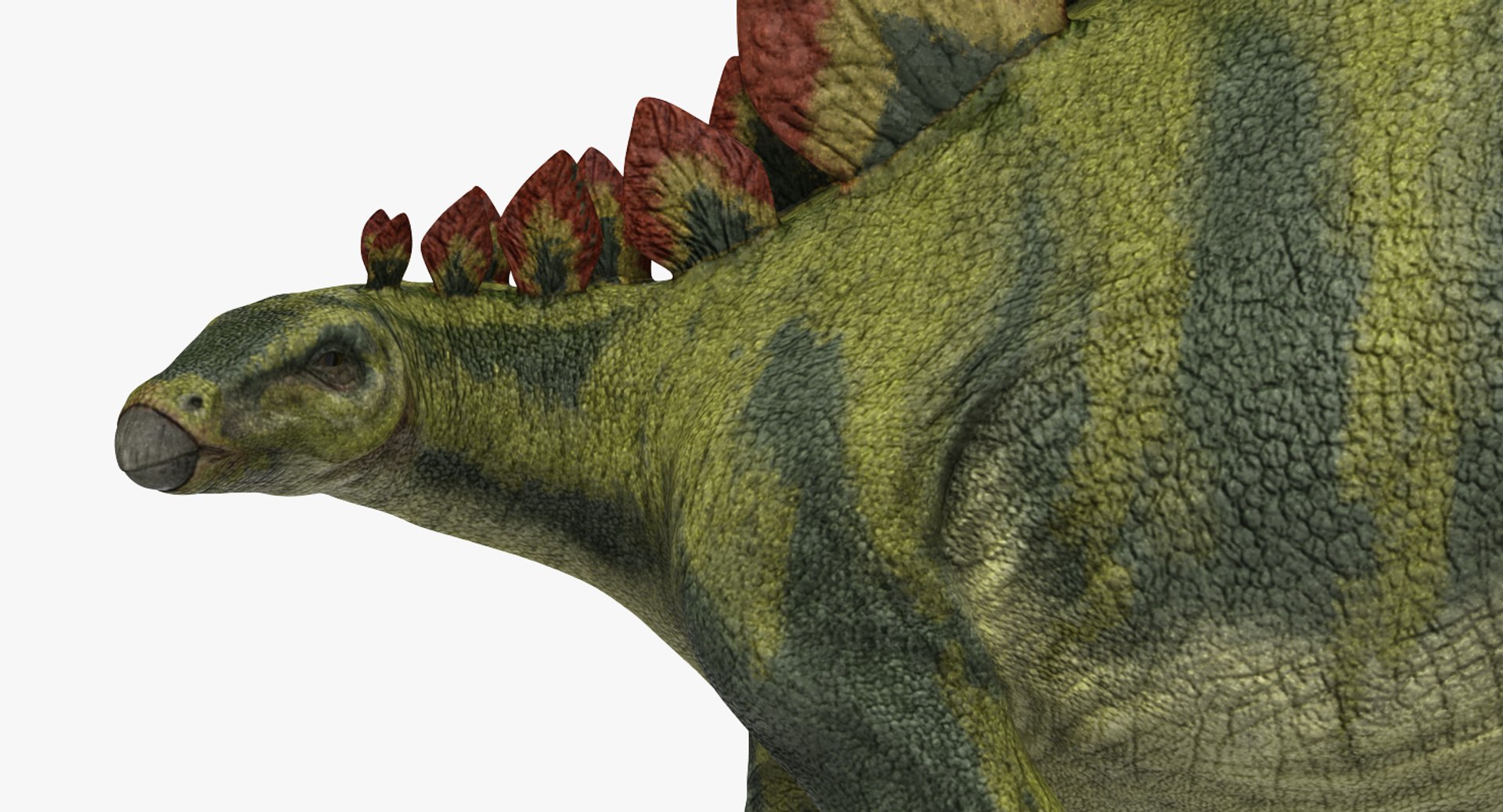 Stegosaurus Rigged 3d Model