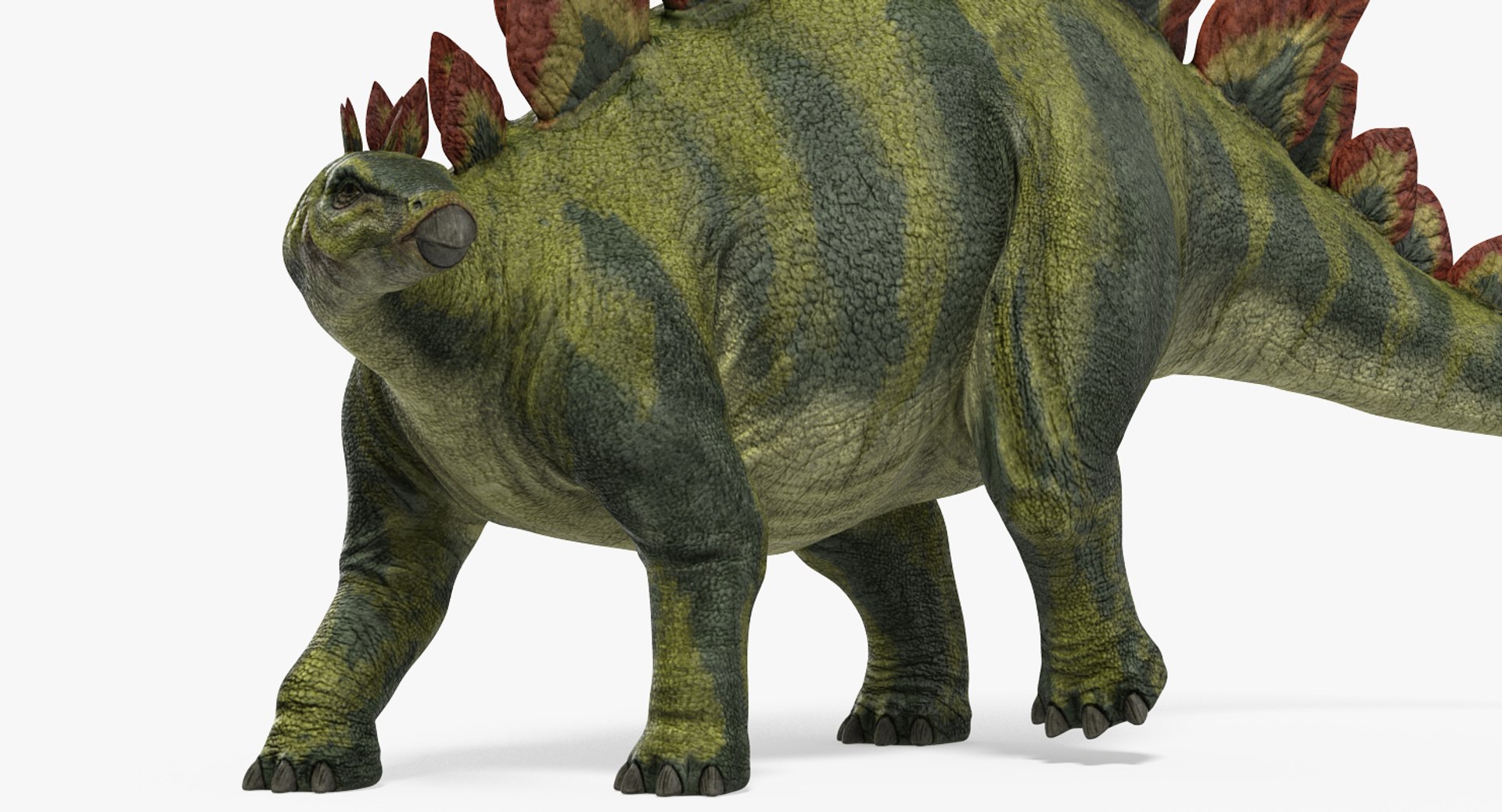 Stegosaurus Rigged 3d Model