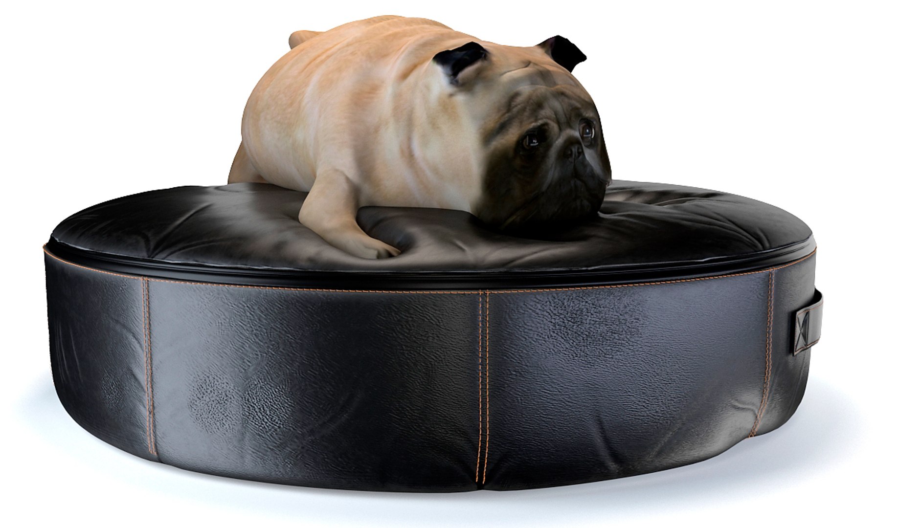 Dog Pet Model - TurboSquid 1360721