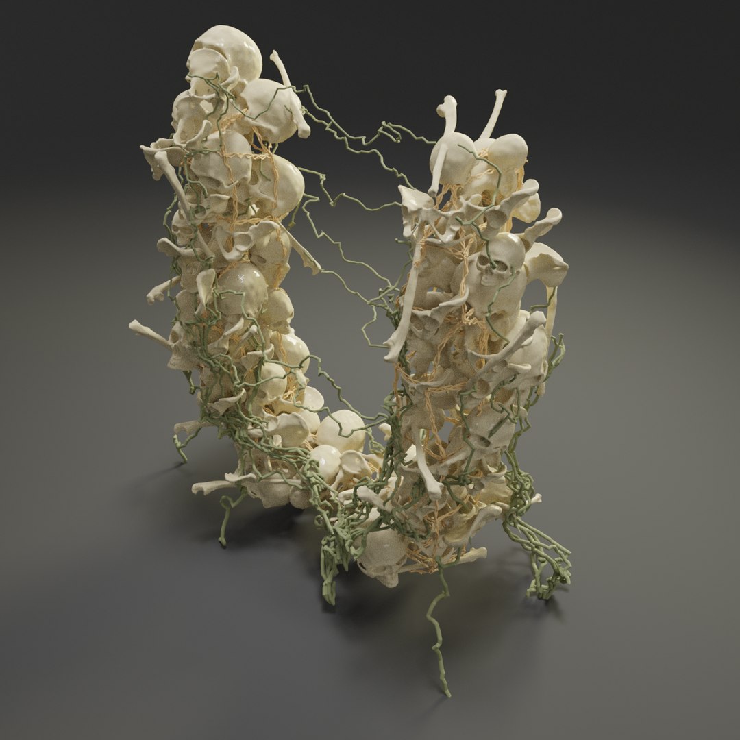 3D Letter U Bones Skeleton Model - TurboSquid 1546306