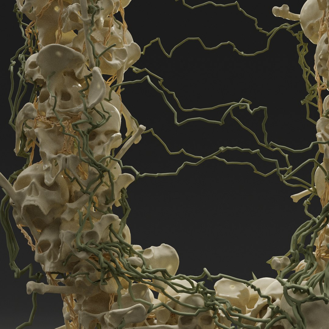 3D Letter U Bones Skeleton Model - TurboSquid 1546306