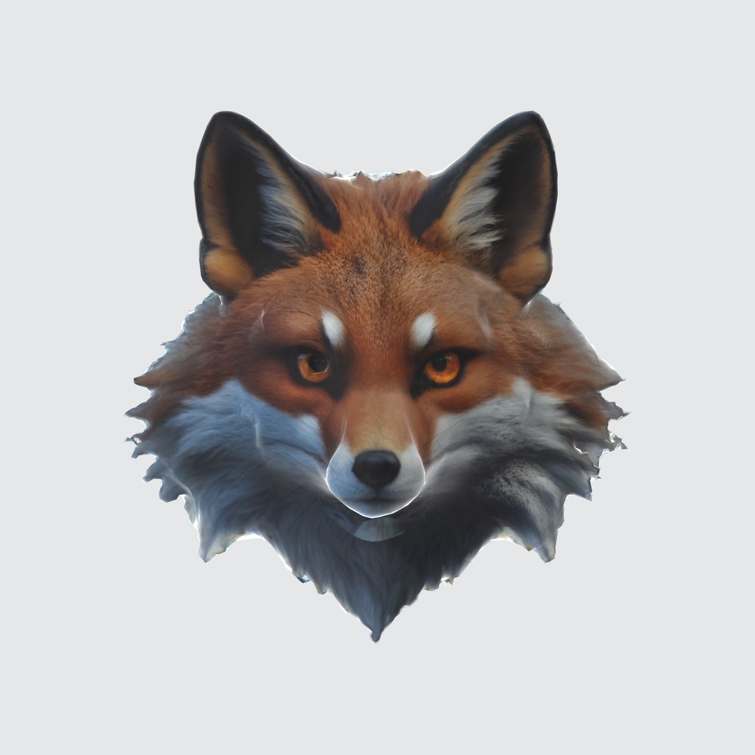 Fox With Large Pointed Ears 3D Model - TurboSquid 2260306