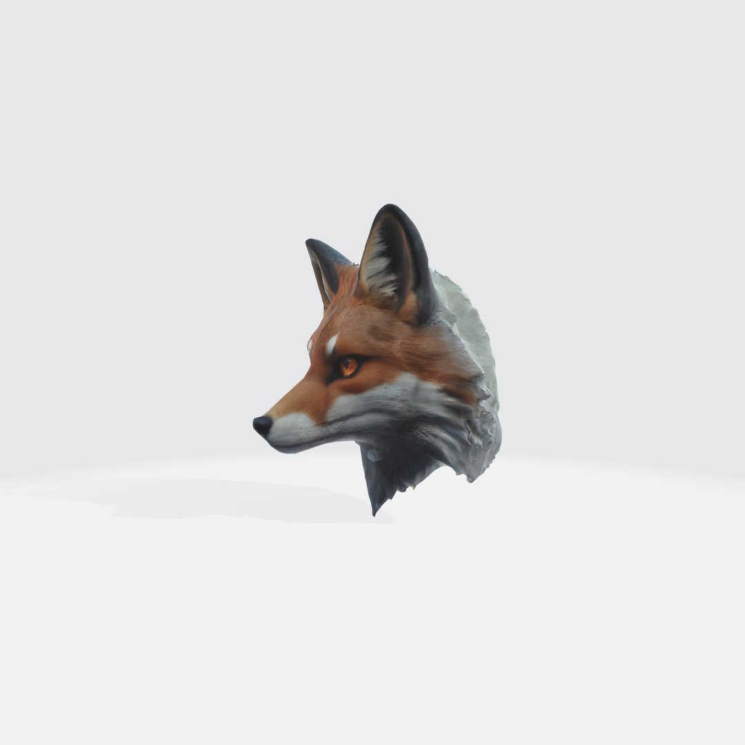 Fox With Large Pointed Ears 3D Model - TurboSquid 2260306