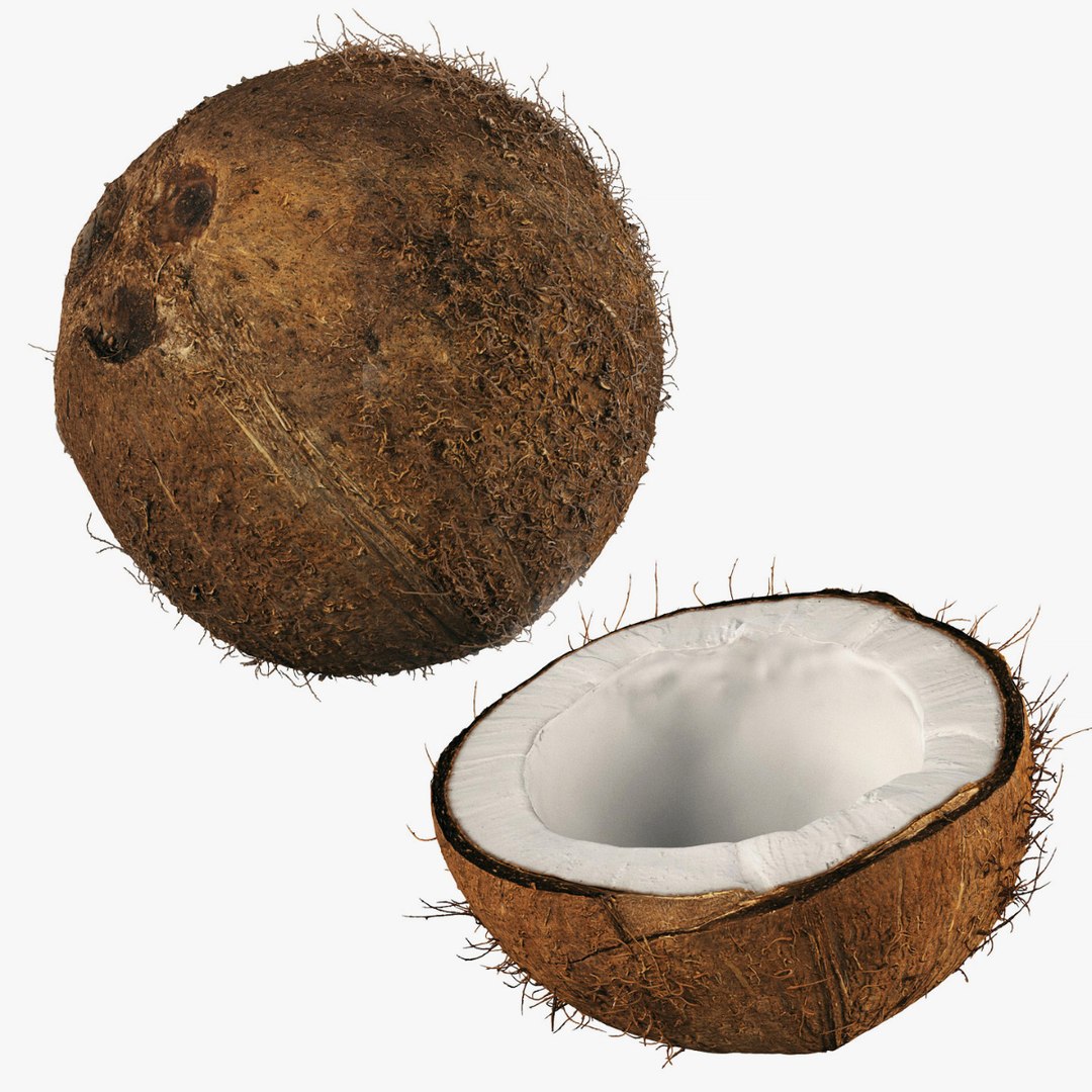 4k coconut 02 3D model - TurboSquid 2025483