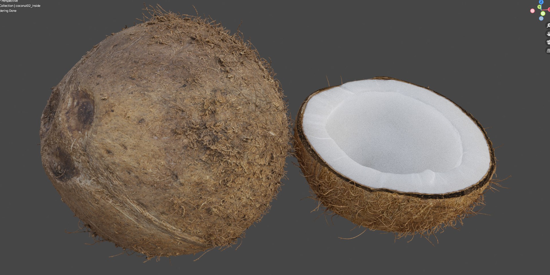 4k coconut 02 3D model - TurboSquid 2025483