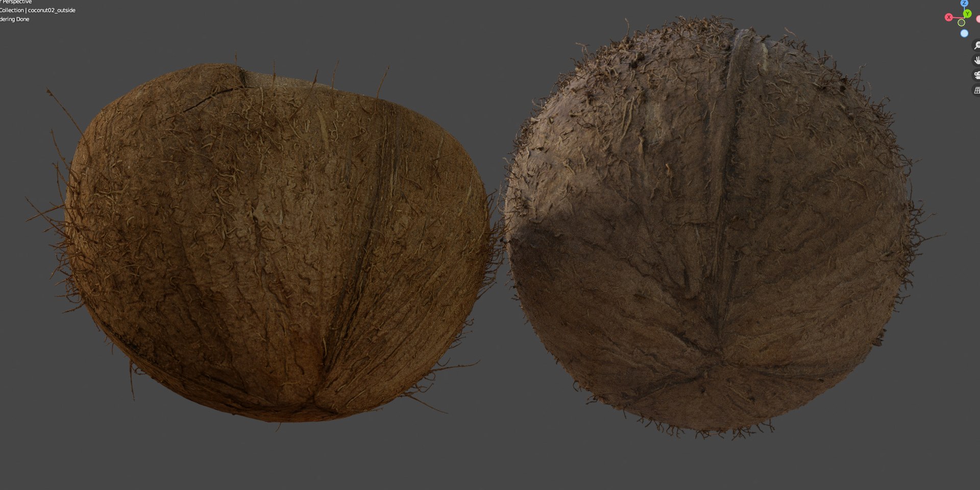 4k coconut 02 3D model - TurboSquid 2025483