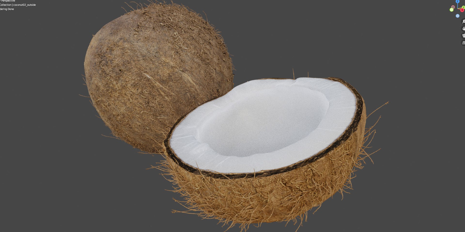 4k coconut 02 3D model - TurboSquid 2025483