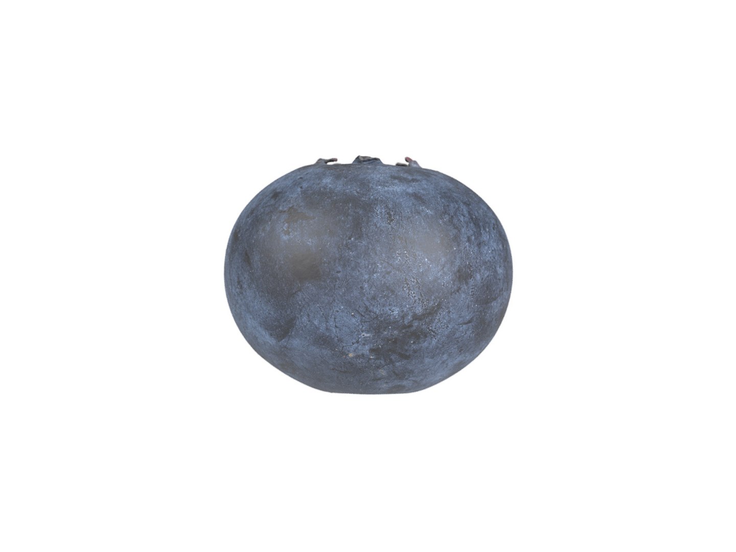 3D Photorealistic Scanned Blueberry Model - TurboSquid 1440539