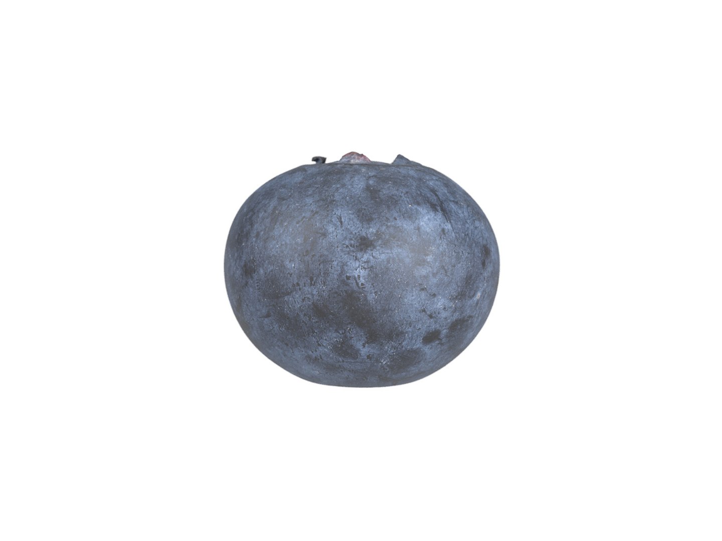 3D Photorealistic Scanned Blueberry Model - TurboSquid 1440539