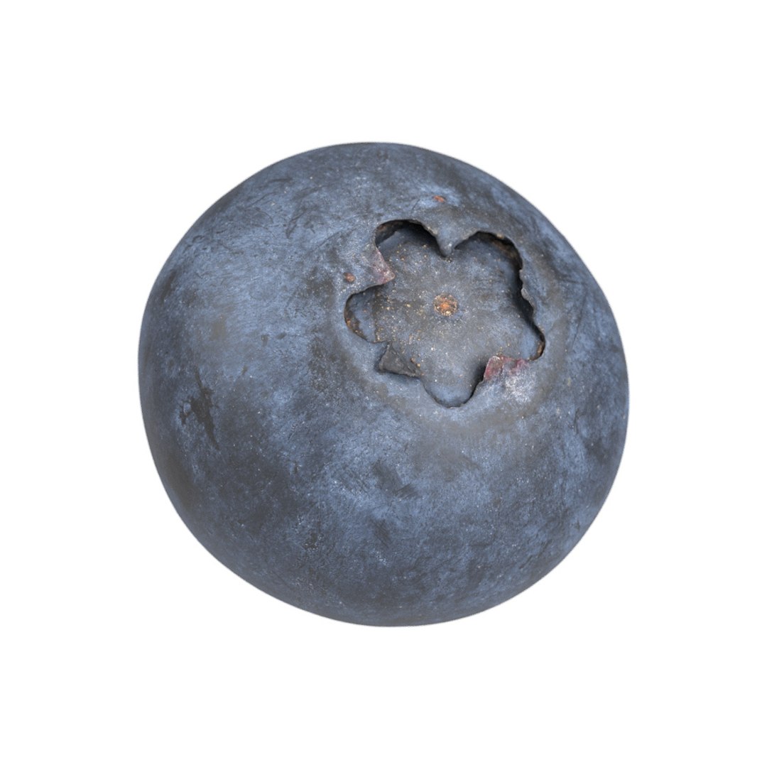 3D Photorealistic Scanned Blueberry Model - TurboSquid 1440539