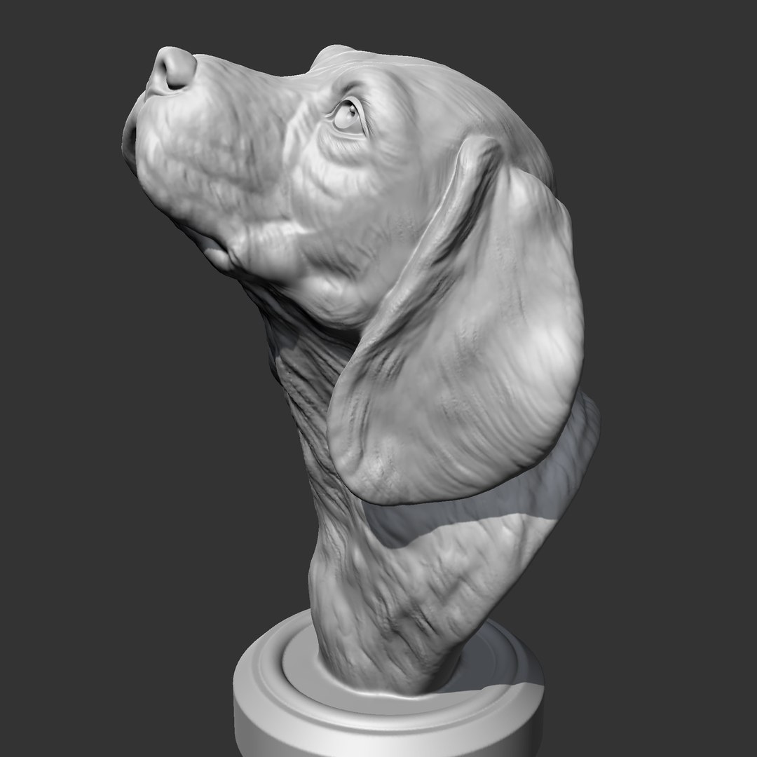 Beagle Head AM04 3D Print Model 3D - TurboSquid 2065451