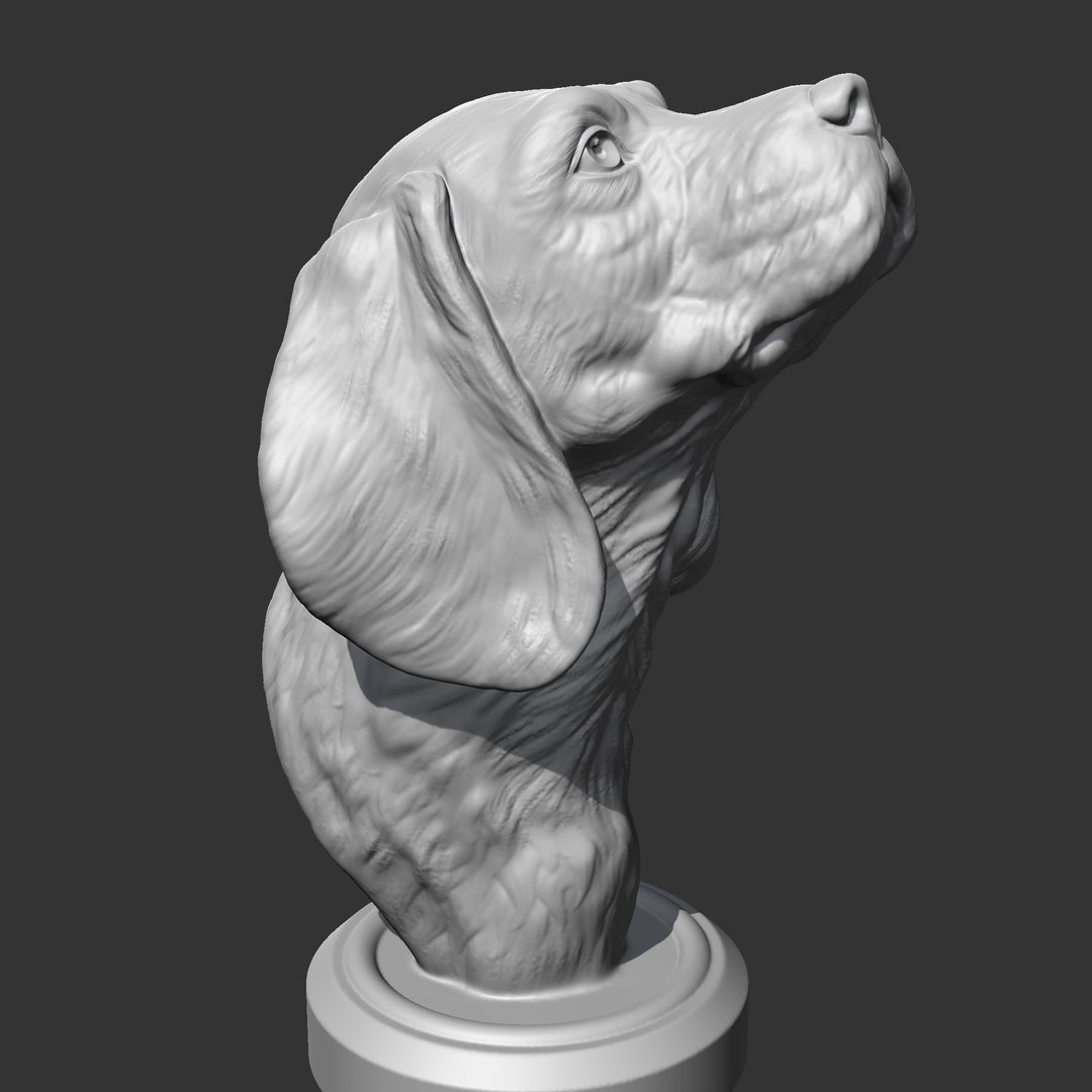 Beagle Head AM04 3D Print Model 3D - TurboSquid 2065451