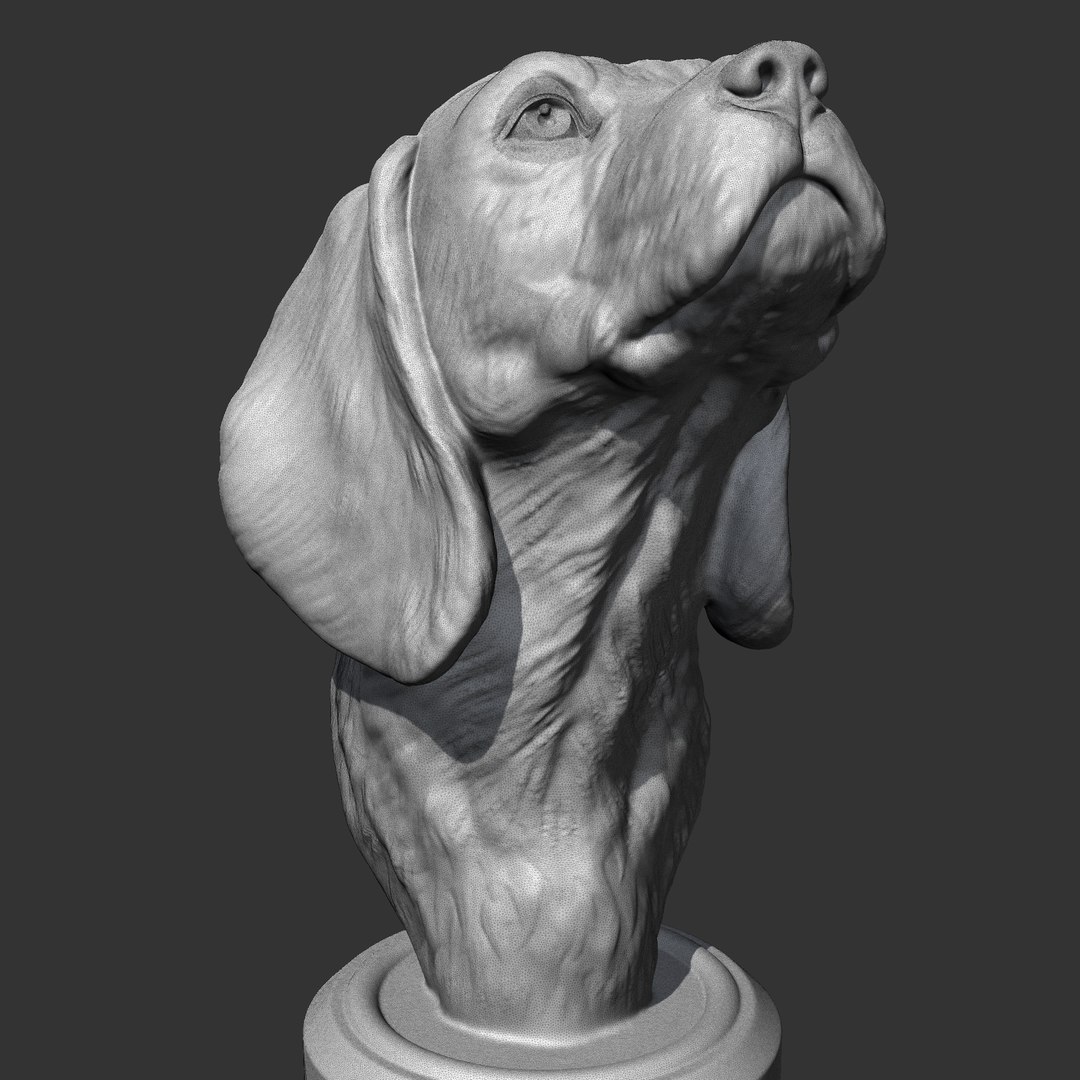 Beagle Head AM04 3D Print Model 3D - TurboSquid 2065451