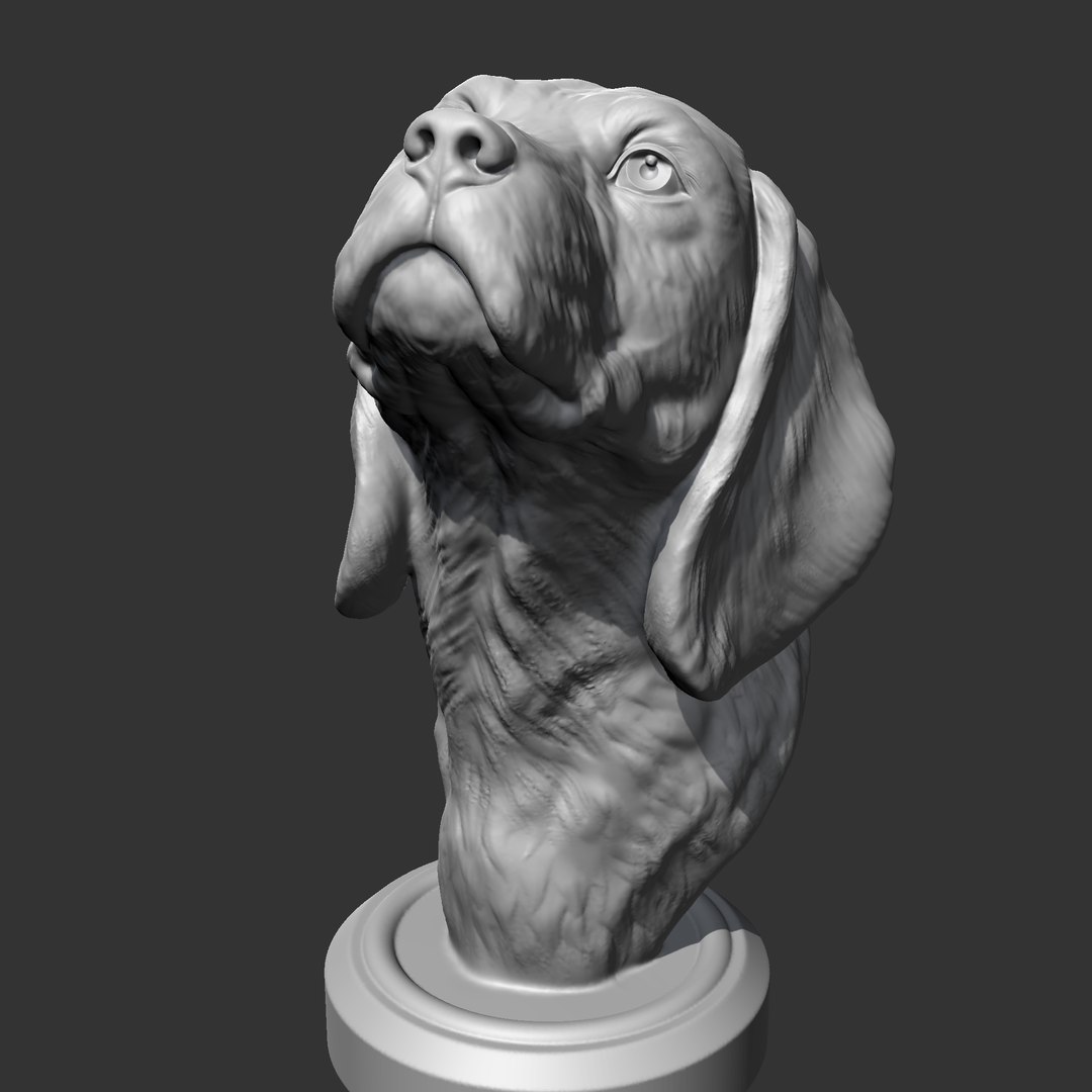 Beagle Head AM04 3D Print Model 3D - TurboSquid 2065451