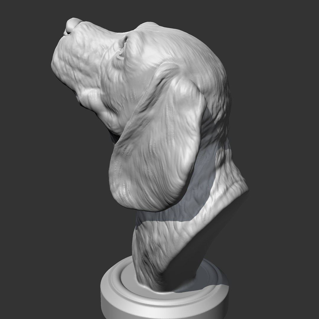 Beagle Head AM04 3D Print Model 3D - TurboSquid 2065451