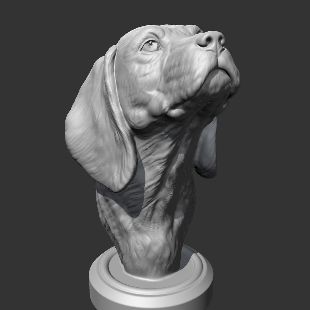 Beagle Head AM04 3D Print Model 3D - TurboSquid 2065451