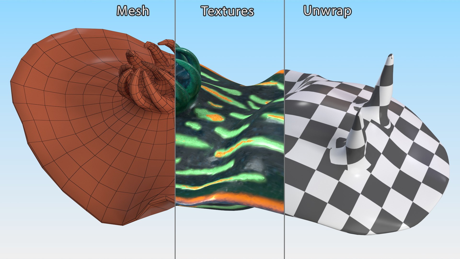 Dusky Nembrotha 3D Model - TurboSquid 2185742