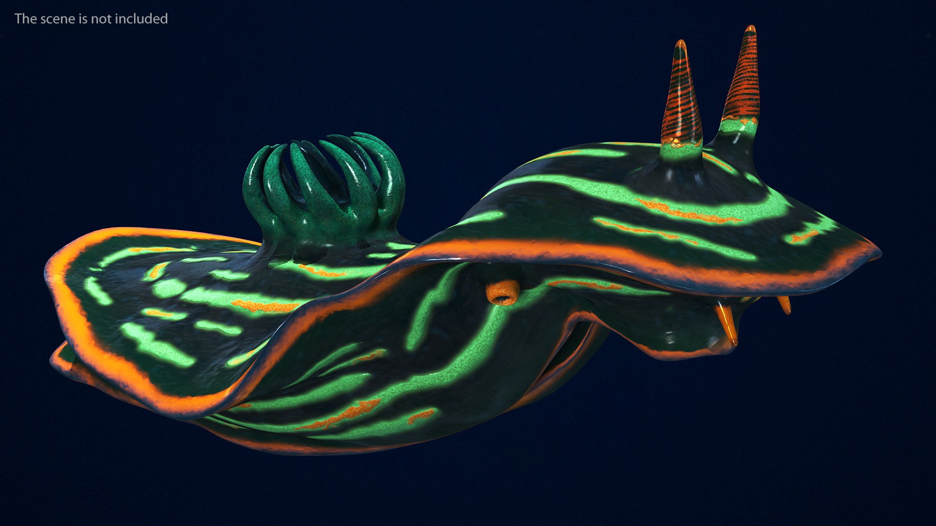 Dusky Nembrotha 3D Model - TurboSquid 2185742
