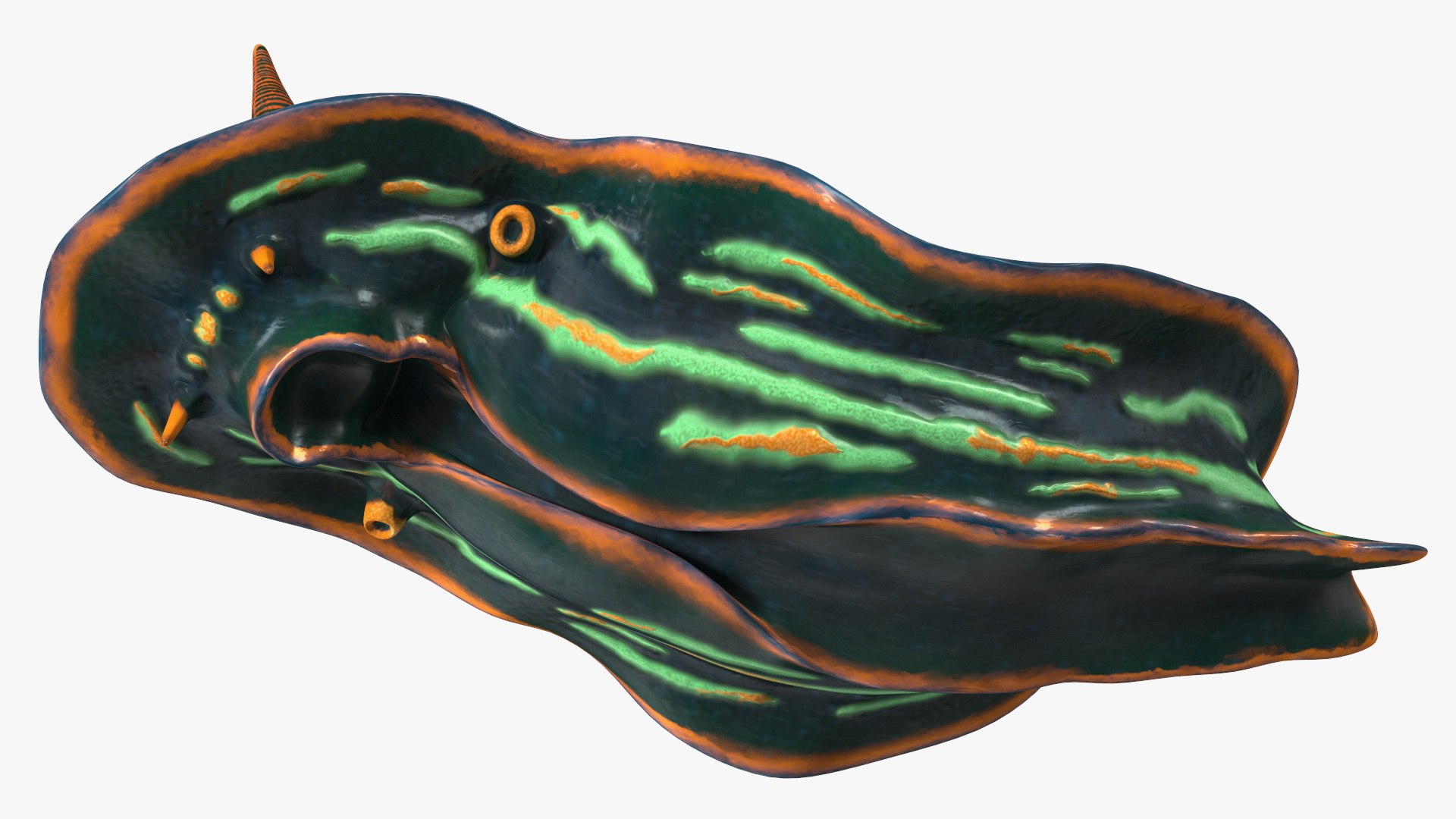 Dusky Nembrotha 3D Model - TurboSquid 2185742