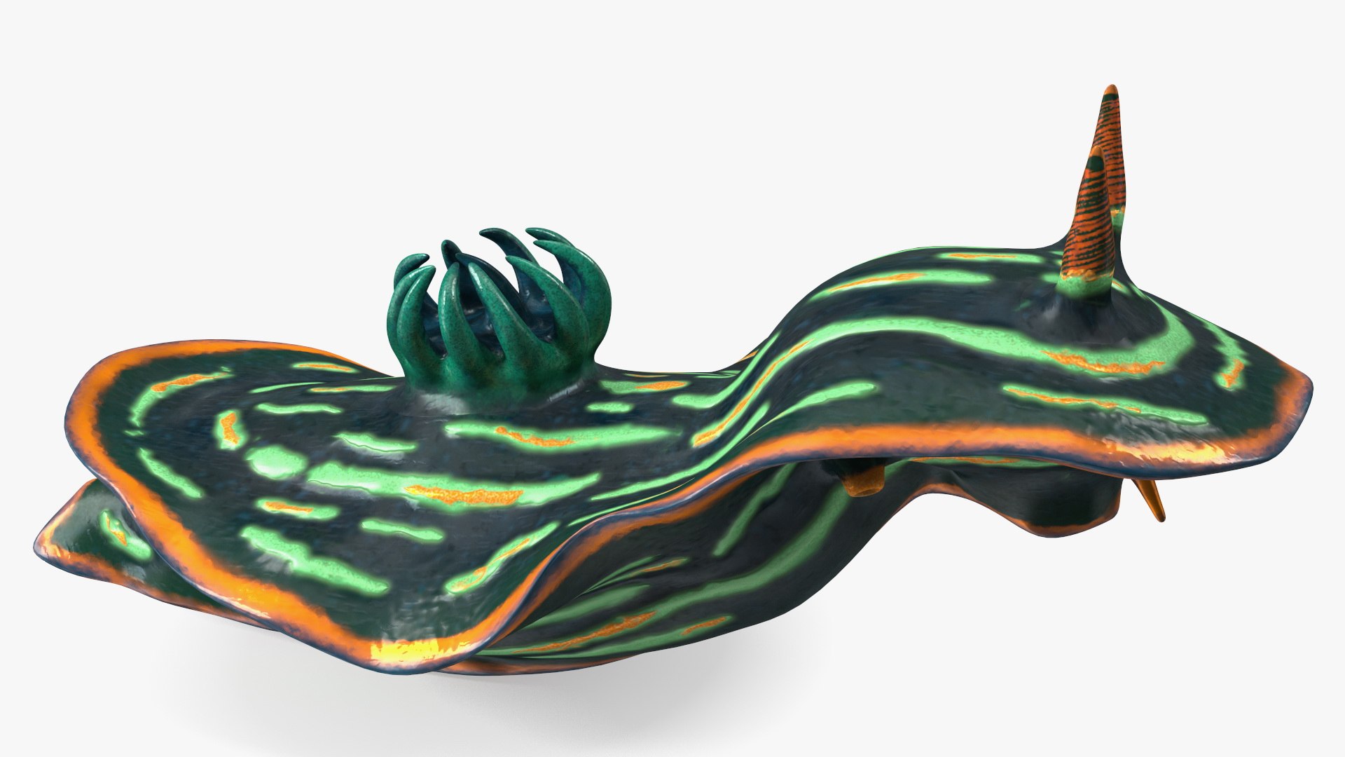 Dusky Nembrotha 3D Model - TurboSquid 2185742