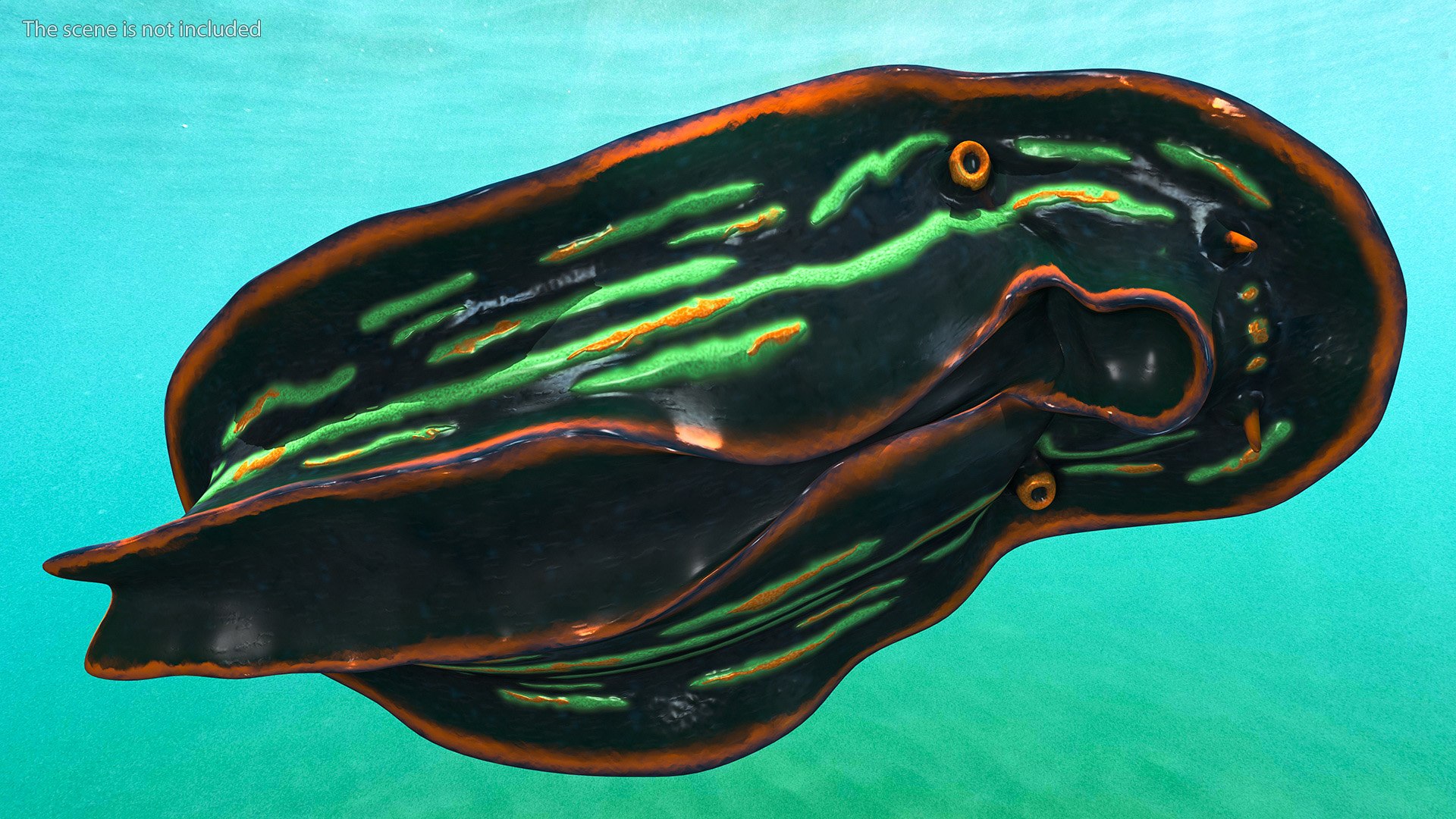 Dusky Nembrotha 3D Model - TurboSquid 2185742